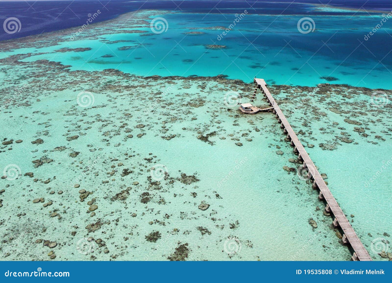 Jetty on a coral reef stock photo. Image of sudan, vacation - 19535808