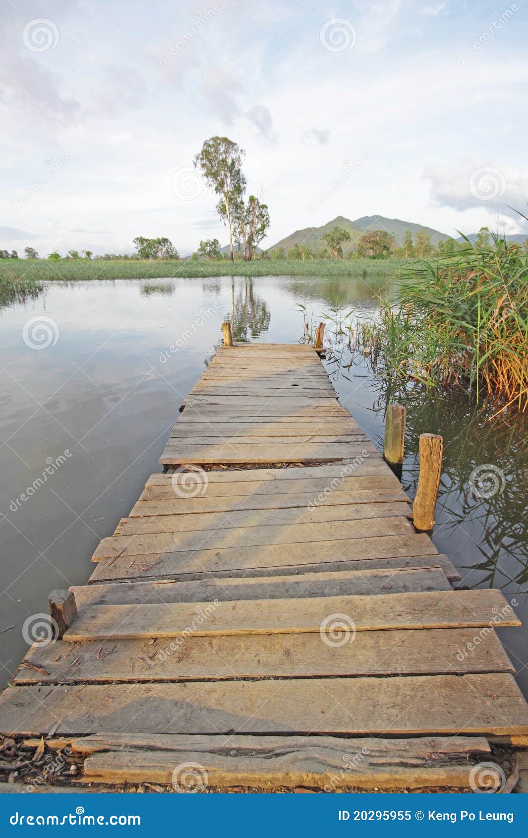 Jetty on lake stock image. Image of natural, beautiful - 20295955