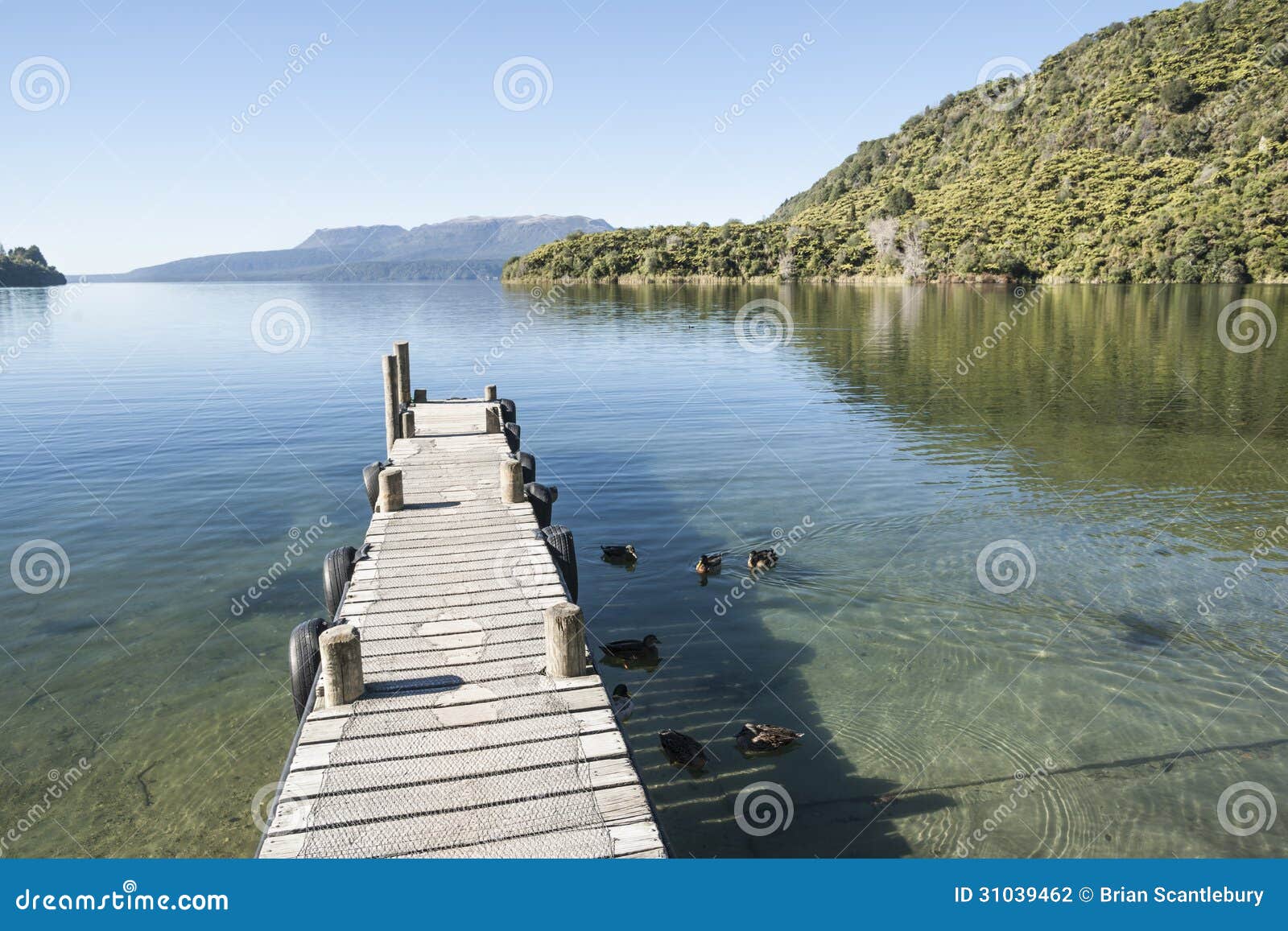 Jetty stock photo. Image of jetty, wilderness, space - 31039462