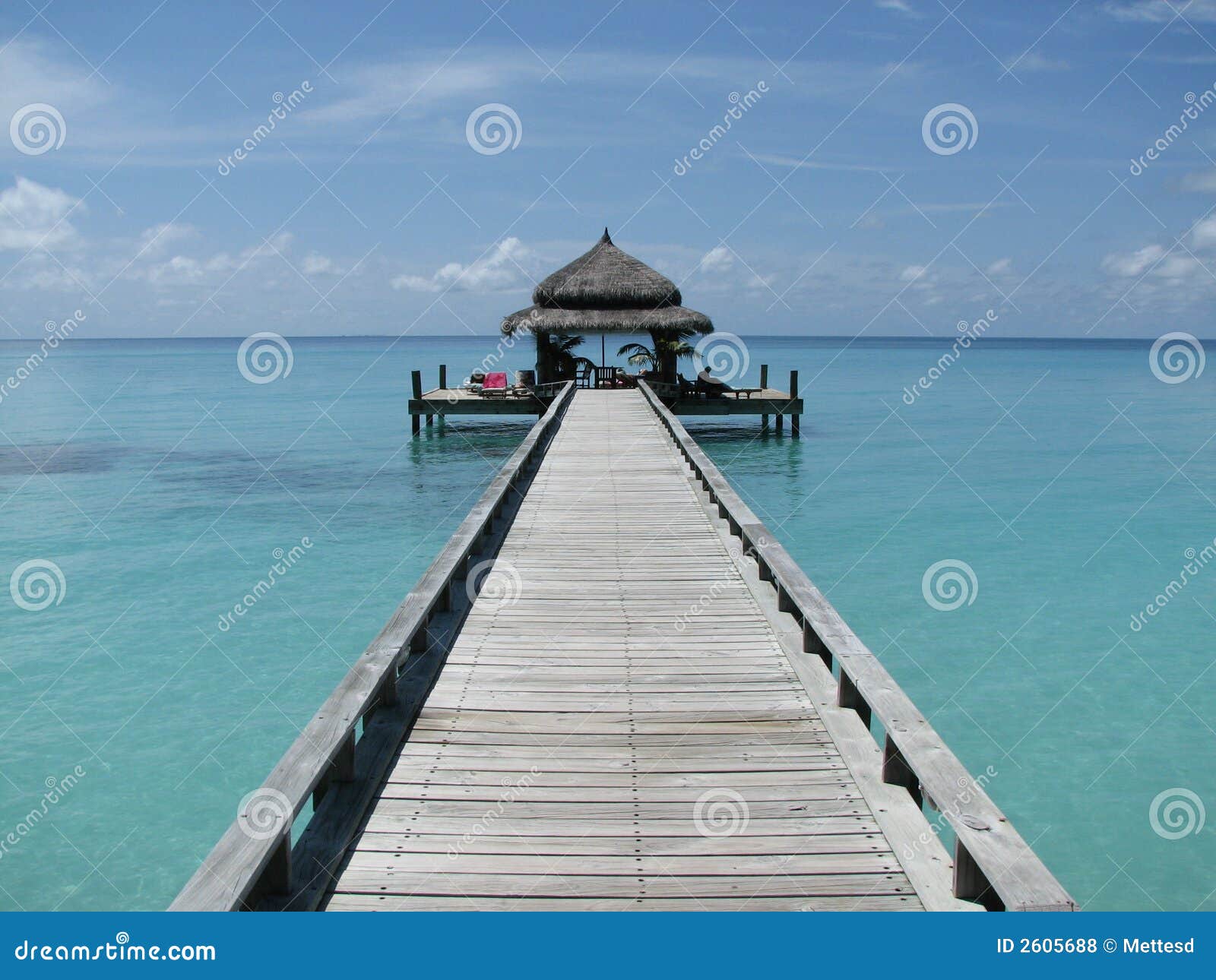 Jetty - the Maldives stock photo. Image of vacation, clear - 2605688