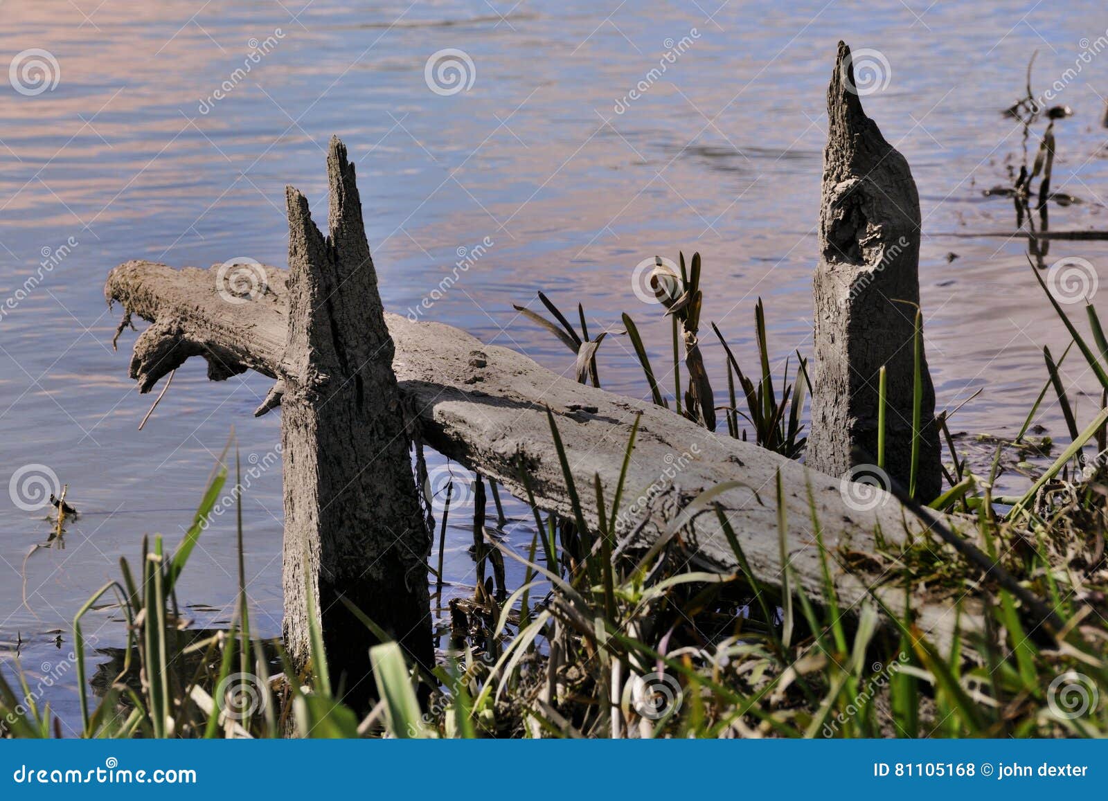 Jetty by the river stock photo. Image of field, water - 81105168