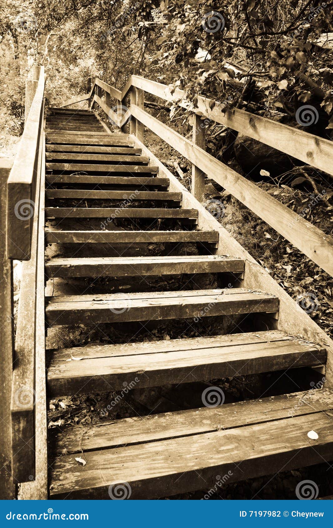 Jetty Stairs stock photo. Image of wooden, jetty, path - 7197982