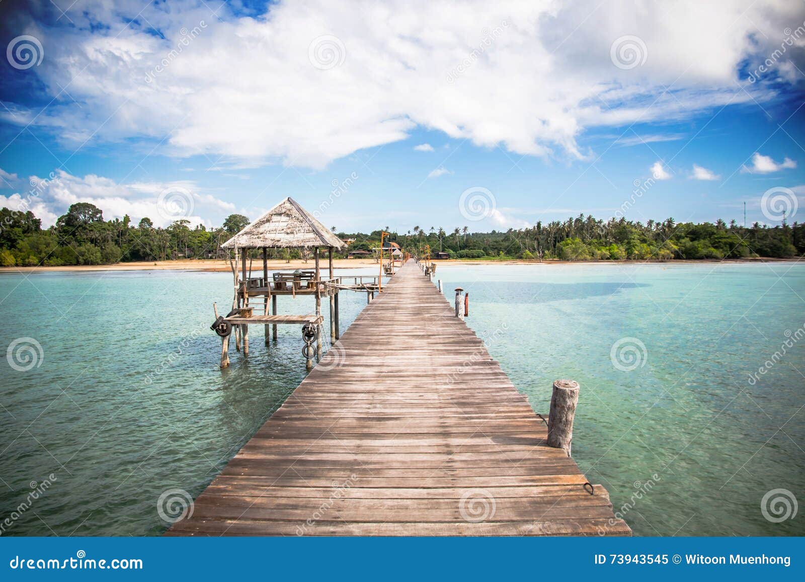 Jetty to a tropical beach stock image. Image of blue - 73943545