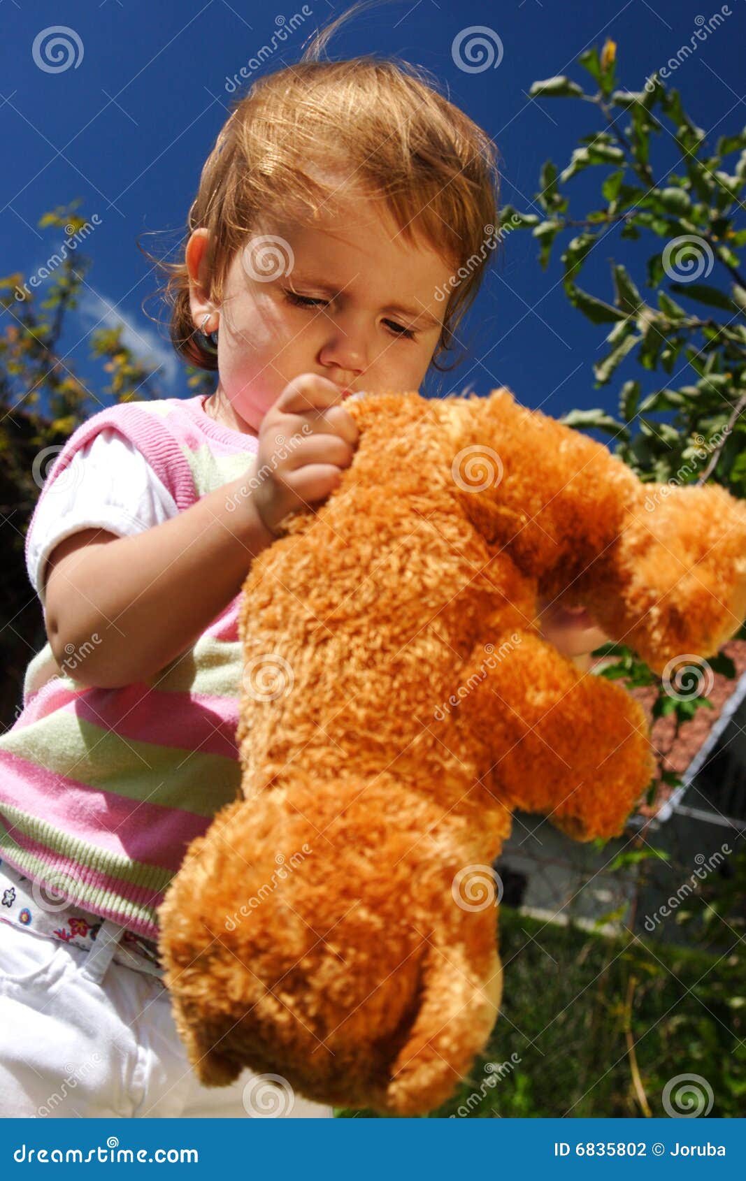Jeu Avec L'ours De Nounours Photo stock - Image of vert, mignon: 6835802