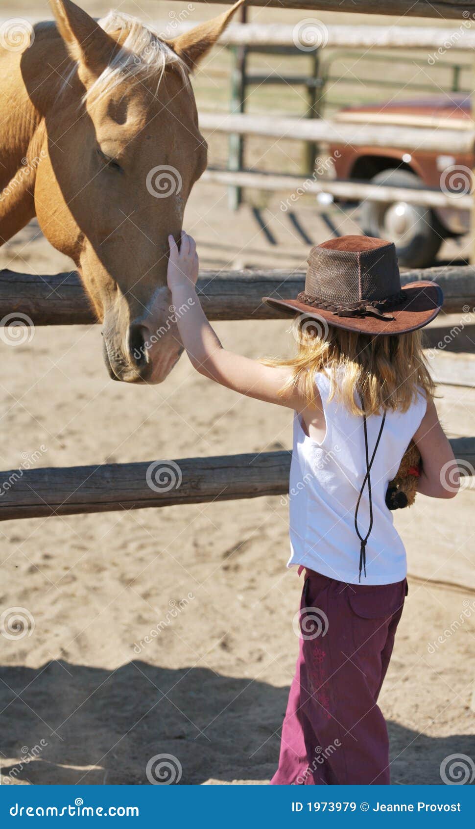 Jeune Cow-girl Et Son Cheval Image stock - Image du animal, ferme: 1973979