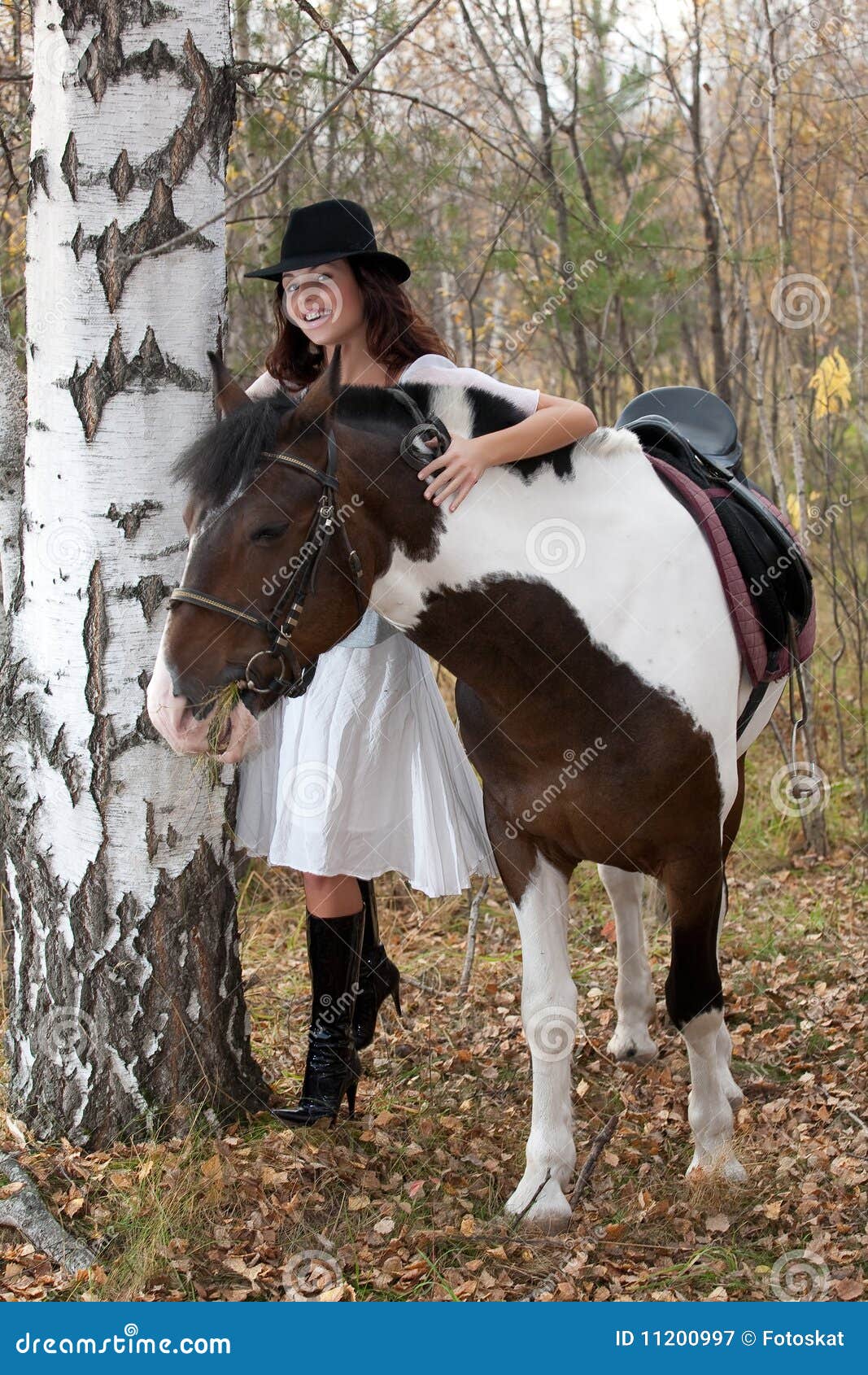 Jeune femme et cheval image stock. Image du beauté, couleur - 11200997