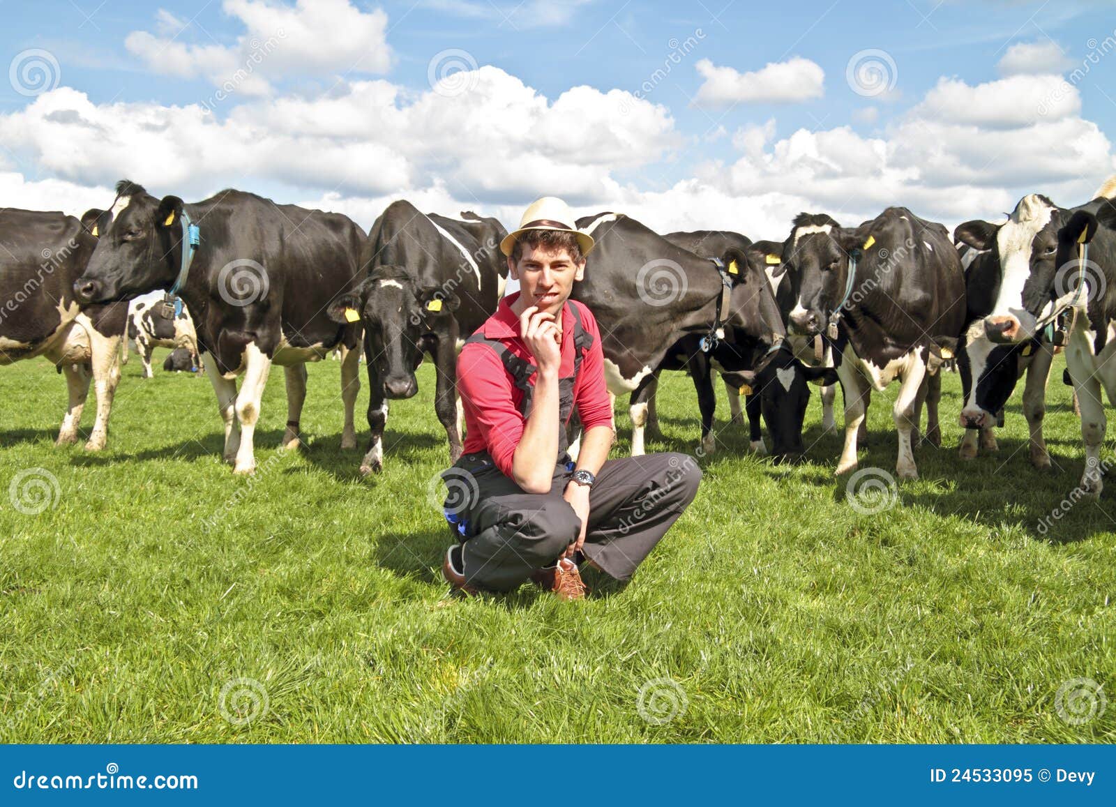 Jeune Fermier Hollandais Avec Ses Vaches Image stock - Image du pré ...