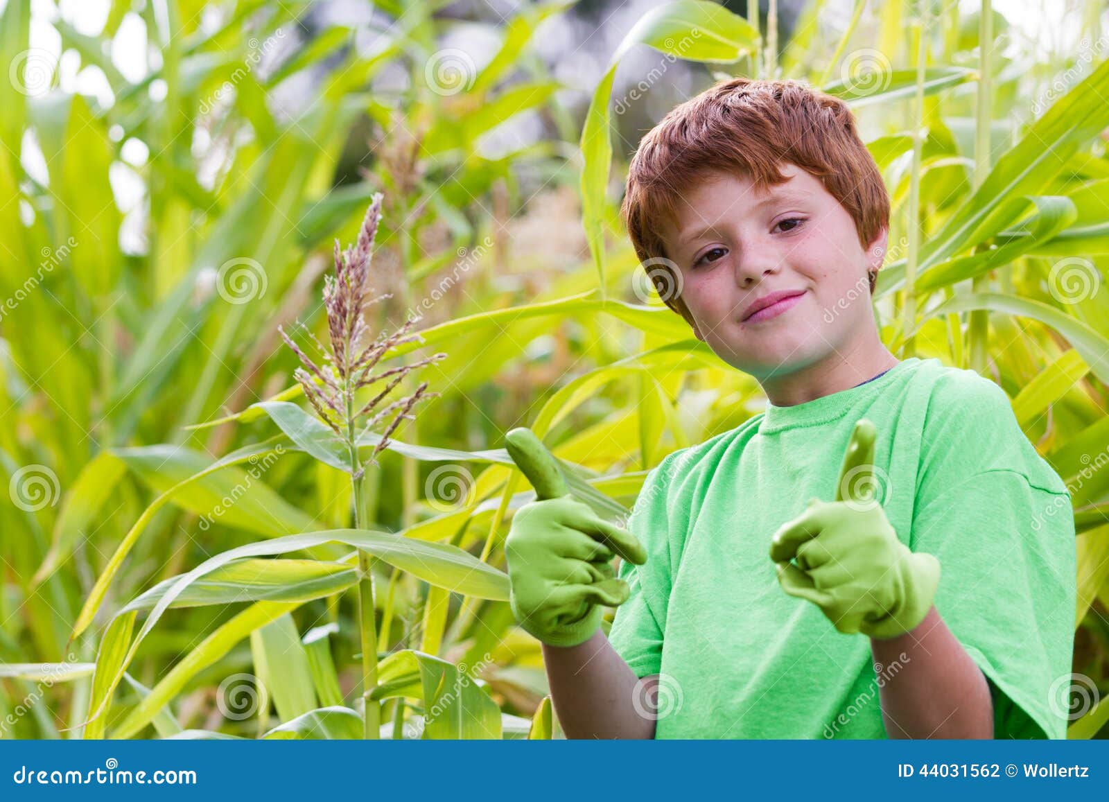 Jeune Garçon Avec Les Pouces Verts Photo stock - Image du cosses ...