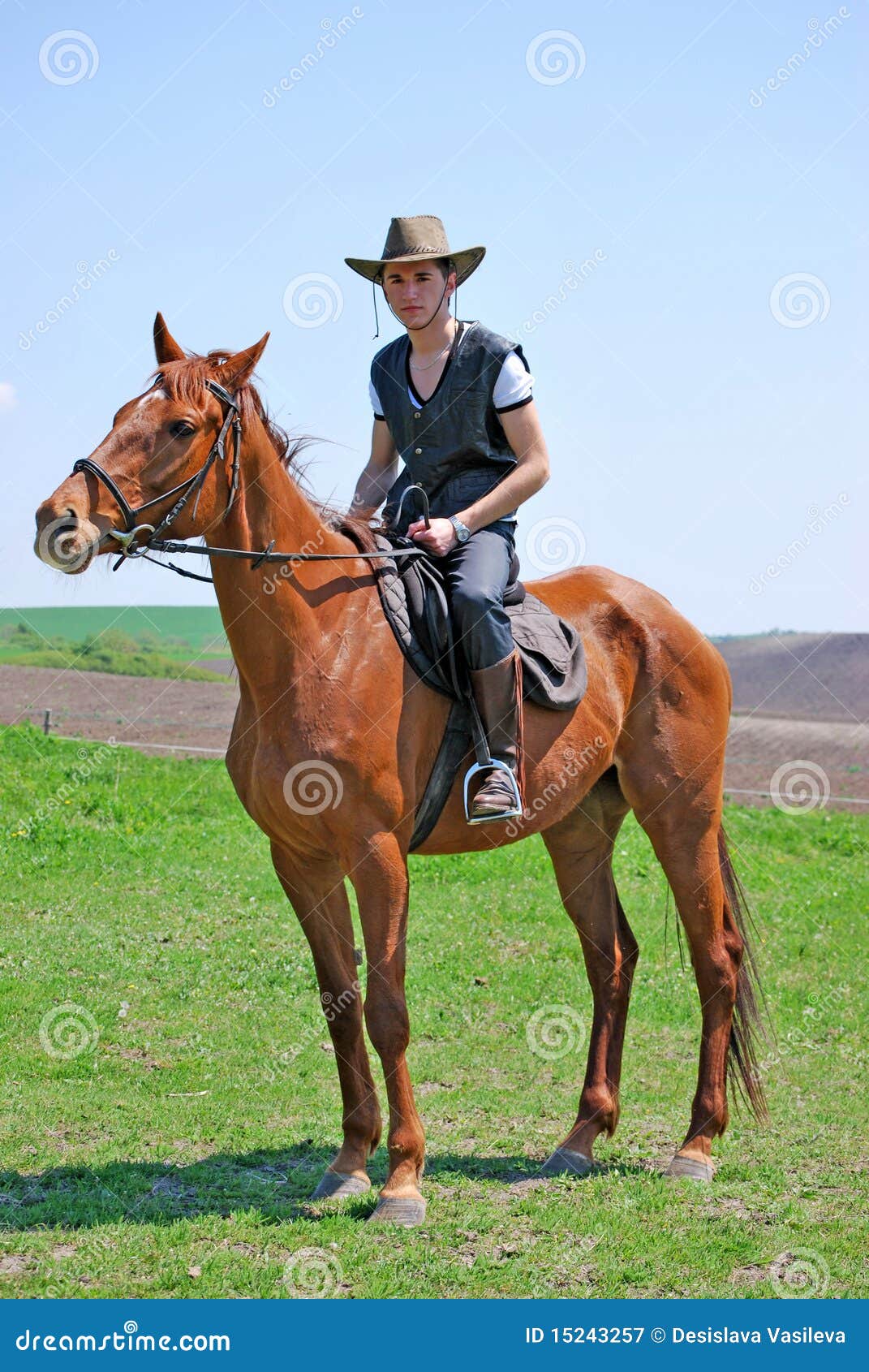 Jeune homme et cheval image stock. Image du affermage - 15243257