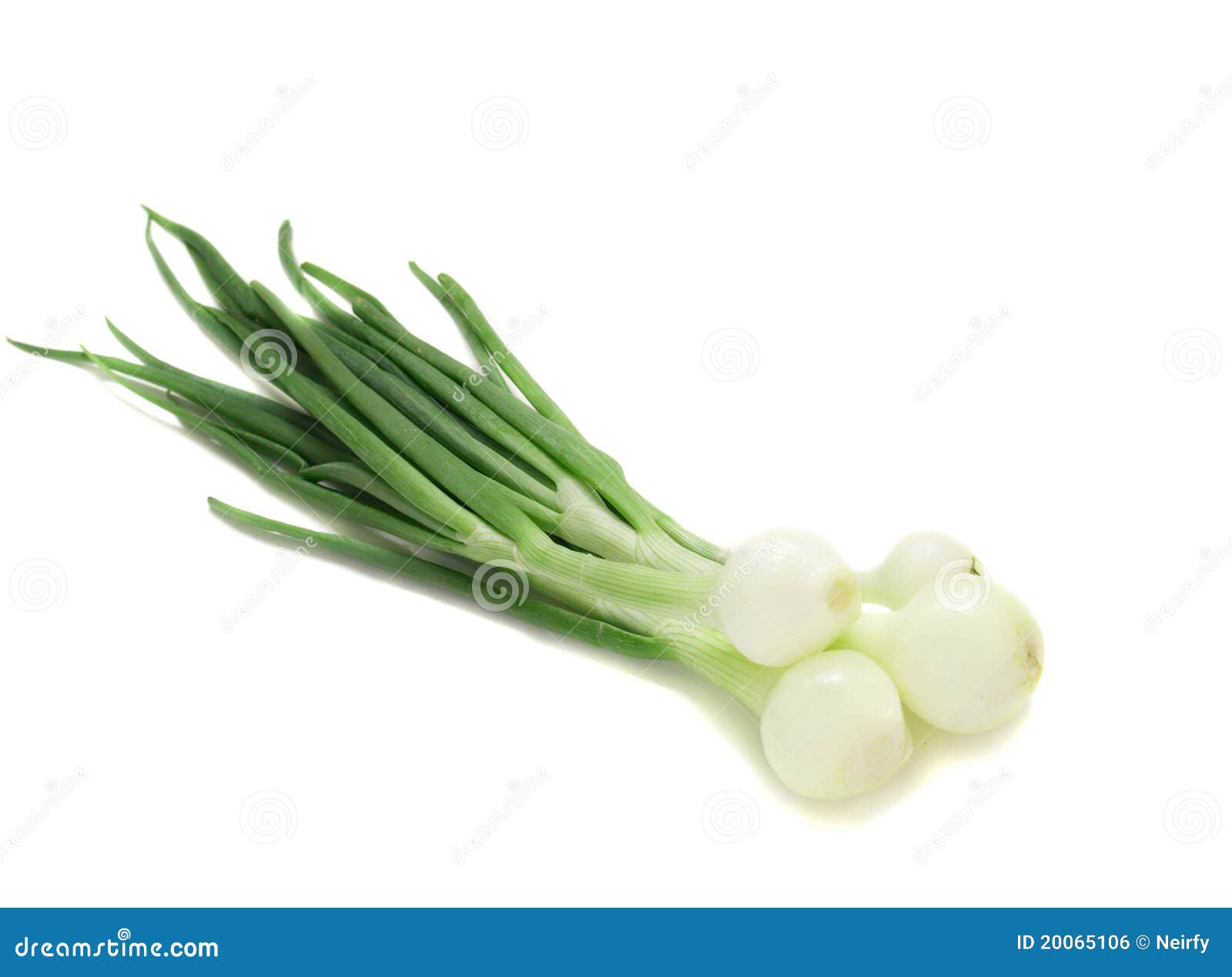 Jeune oignon photo stock. Image du jeune, herbe, objet - 20065106