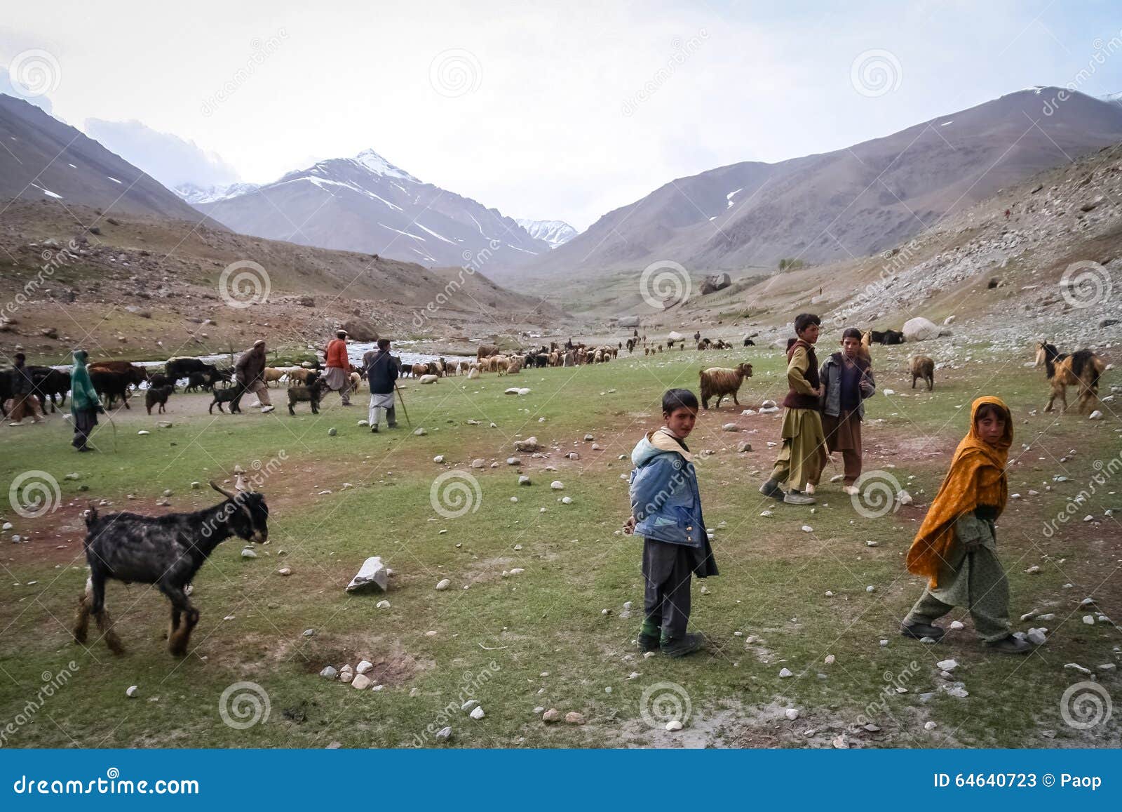 Jeunes bergers pakistanais photo stock éditorial. Image du himalaya ...