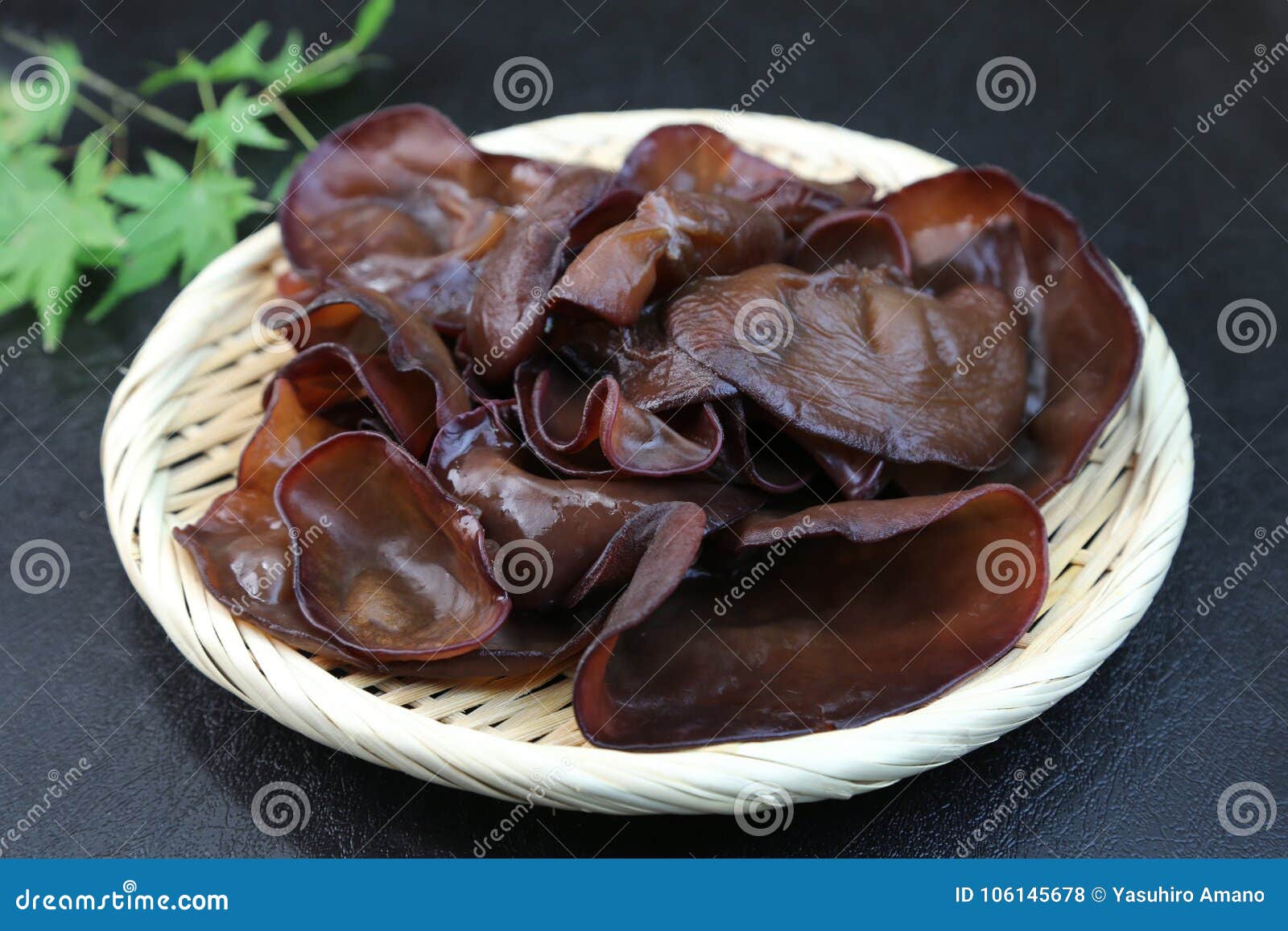 Jew`s Ear Fungus stock photo. Image of brown, auricularia - 106145678