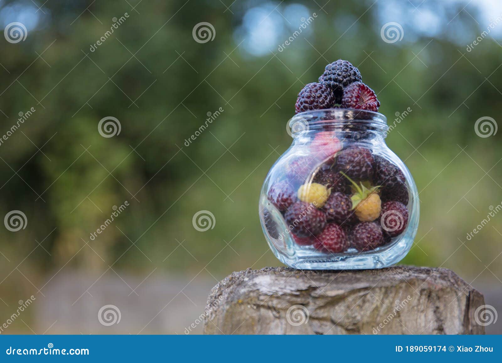 JEWEL raspberry stock photo. Image of combo, diet, beverages - 189059174
