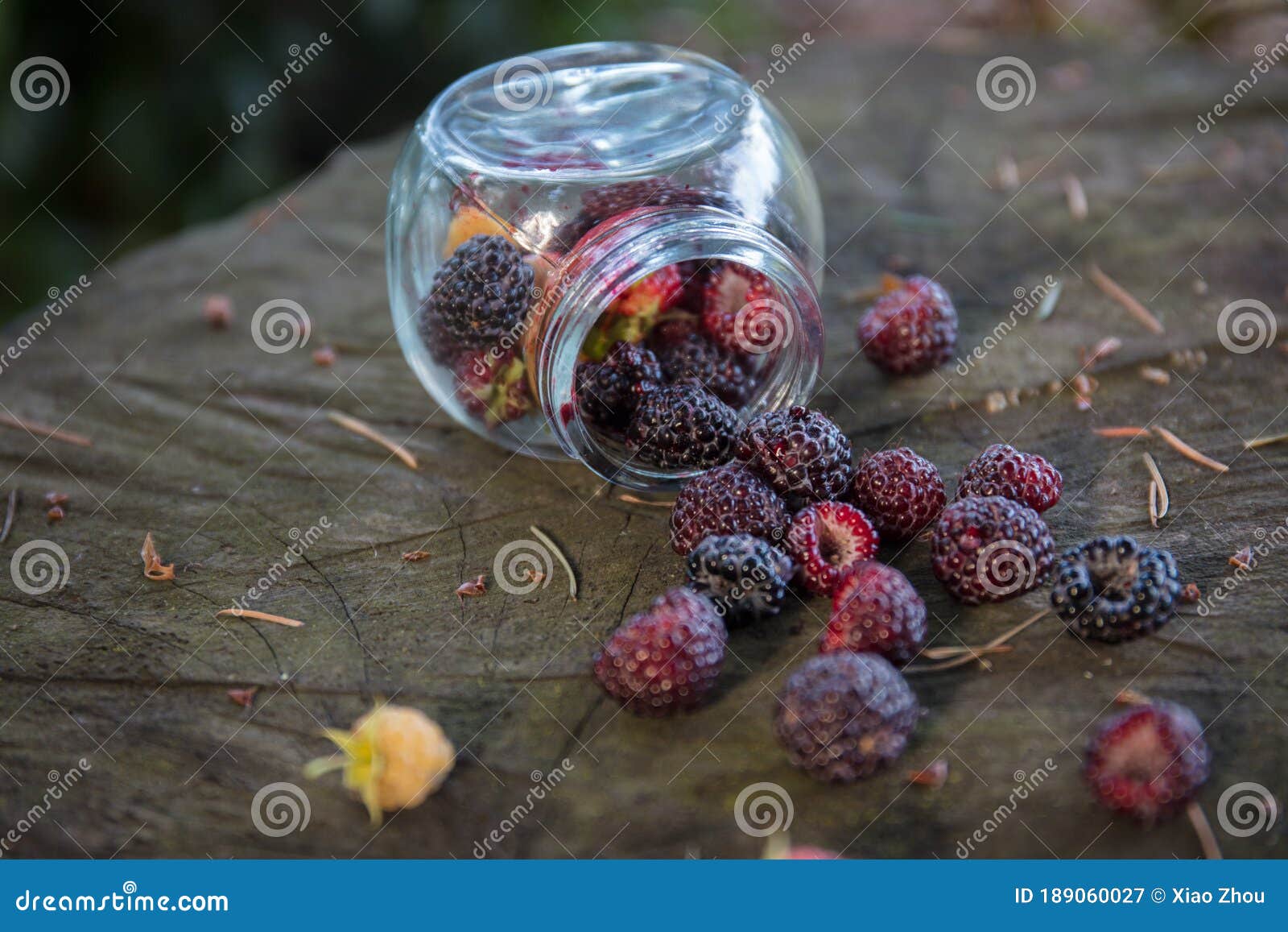 JEWEL raspberry stock image. Image of european, fried - 189060027