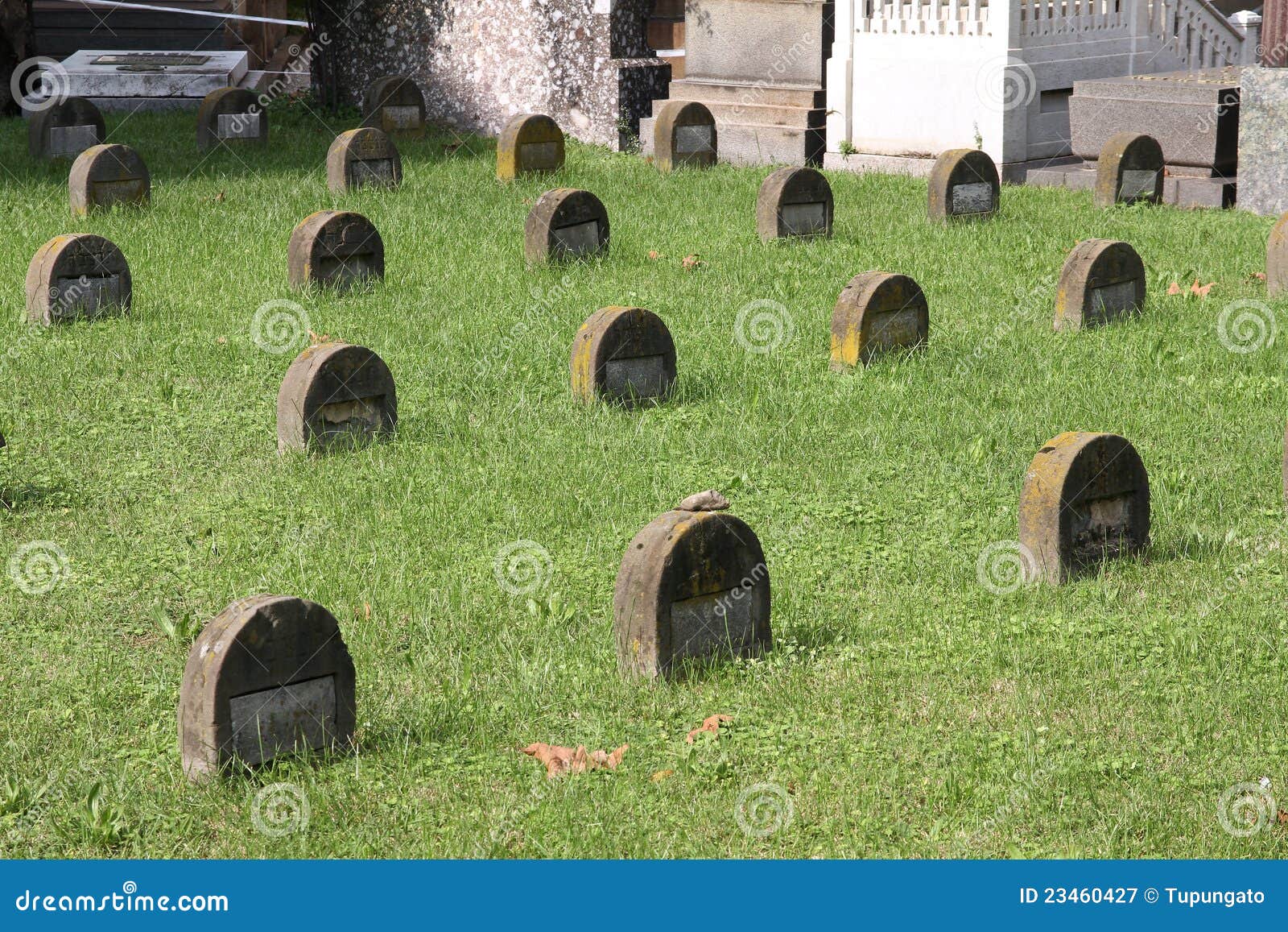 Jewish graveyard stock image. Image of building, judaica - 23460427