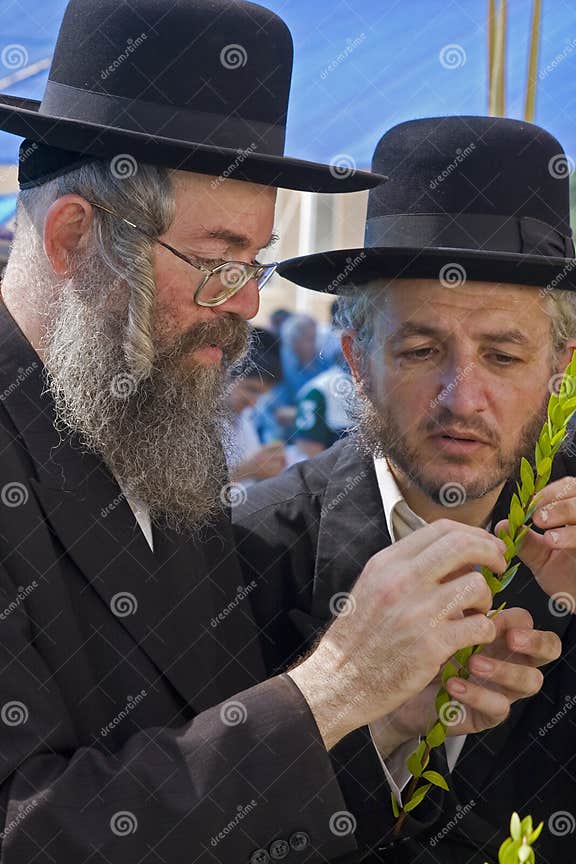 Jews preparing for succoth editorial stock image. Image of holiday ...