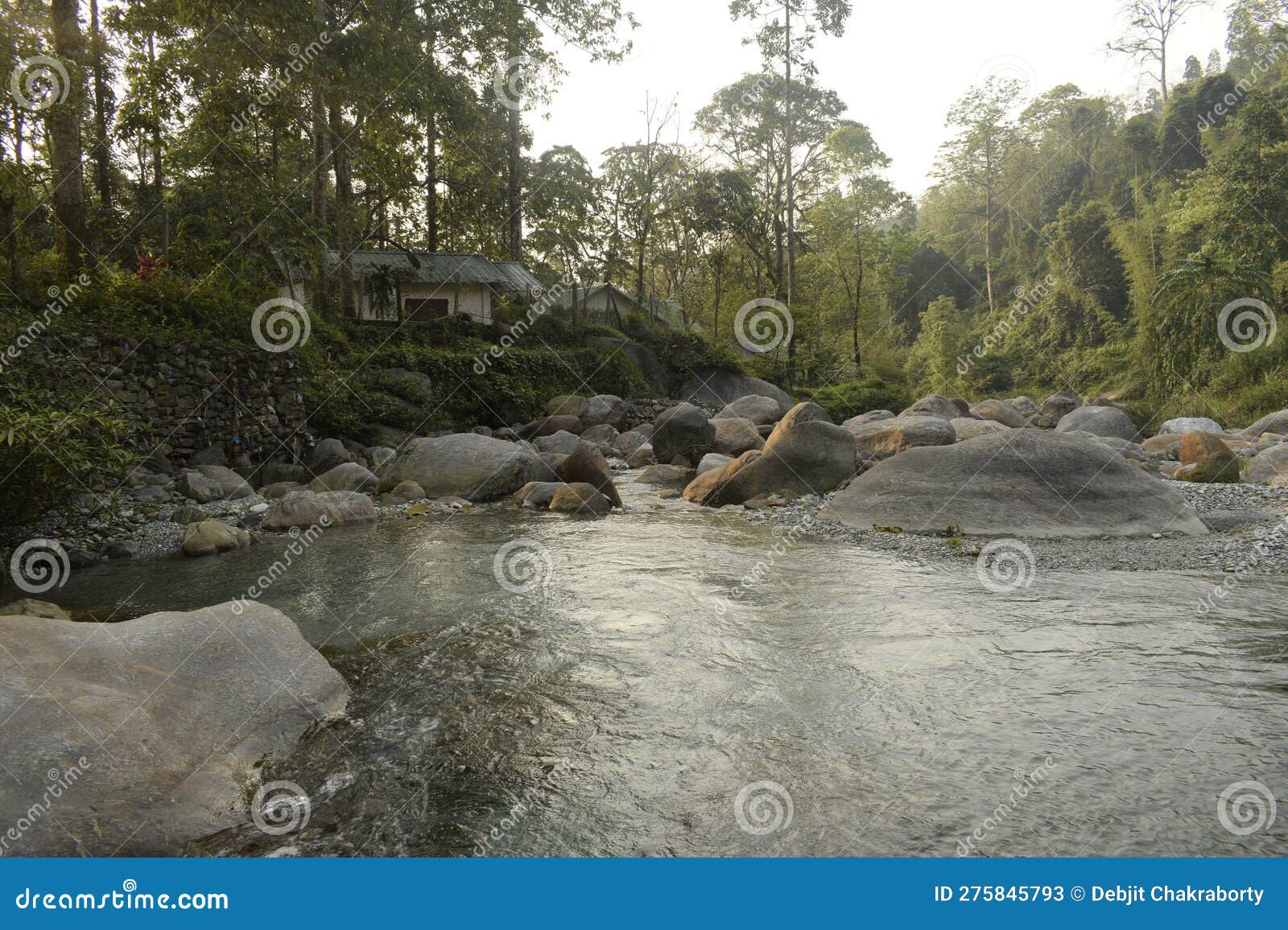 Jhalong River Flowing through the Jungle Stock Image - Image of ...