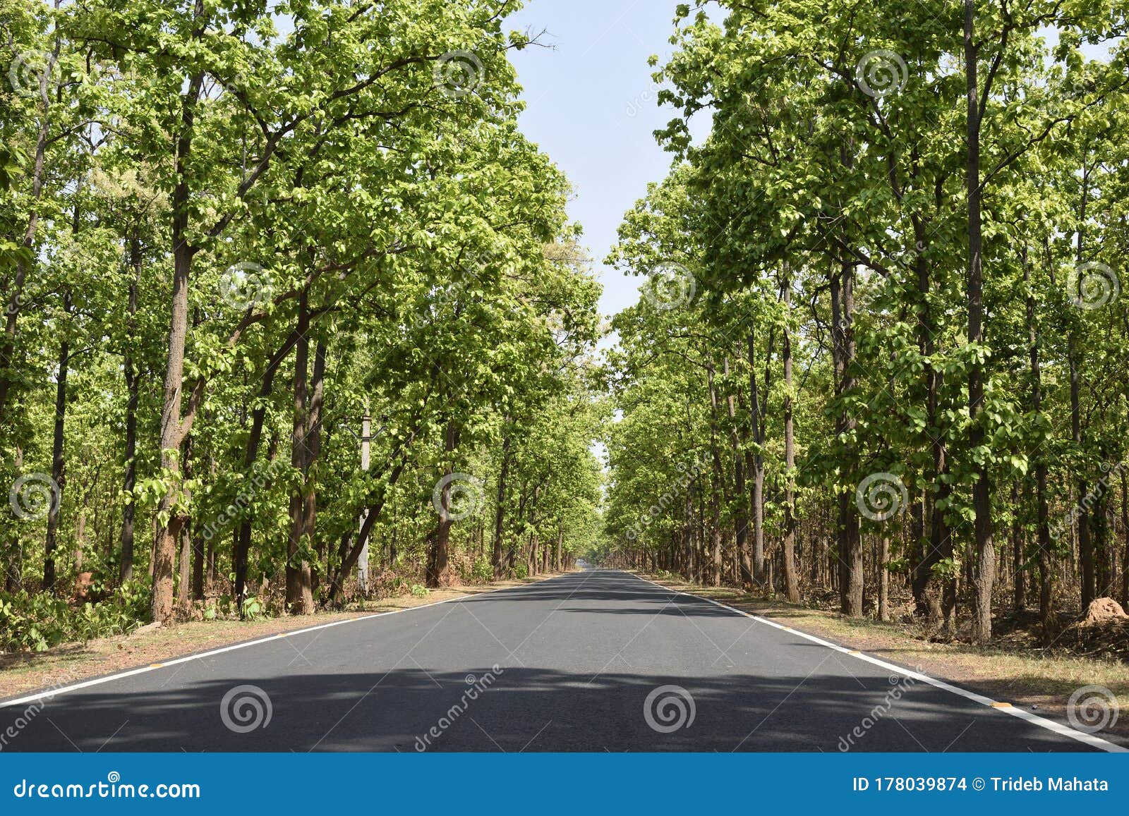 Jhargram Road or Spring Time Jangalmahal Road Stock Photo - Image of ...