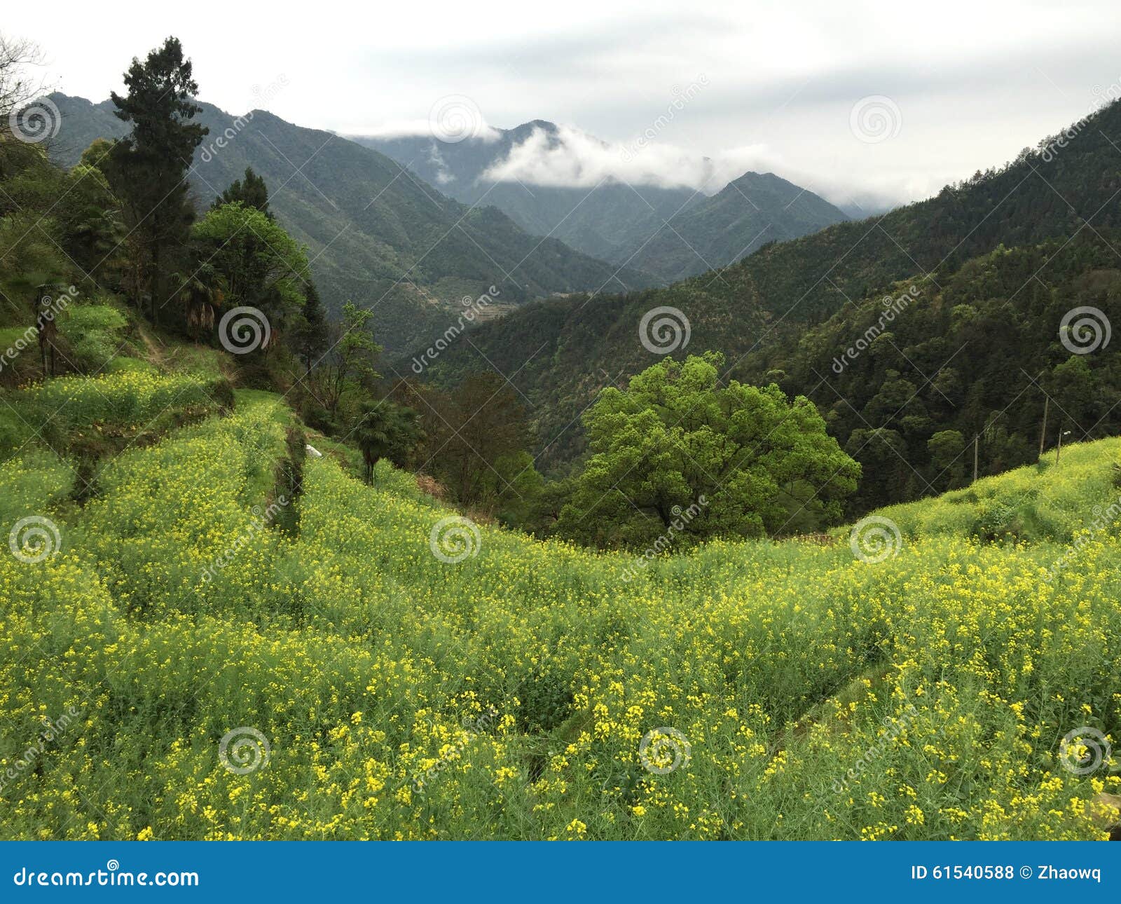 Jiangxi Mountains stock photo. Image of landscape, scene - 61540588