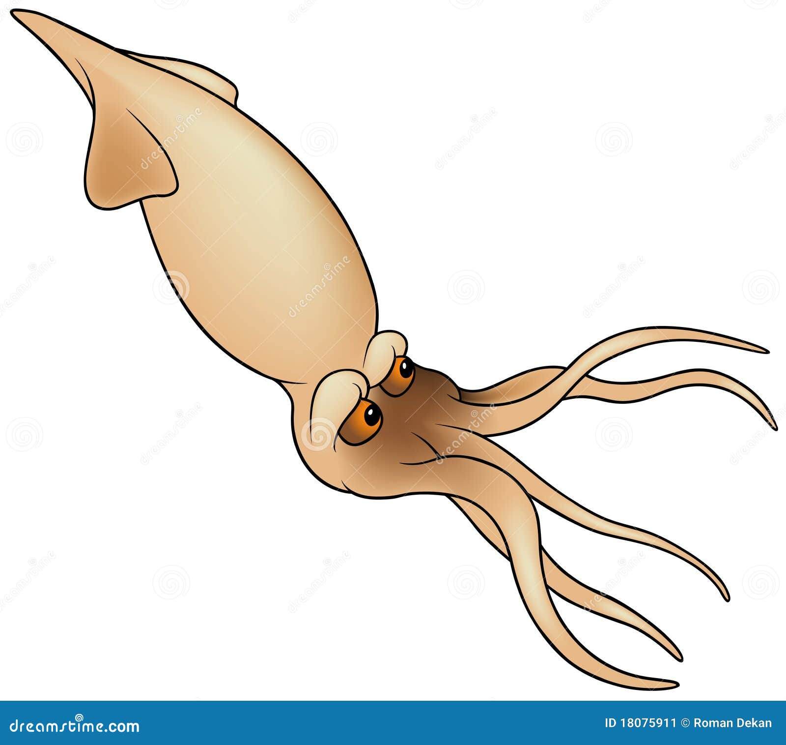 Jibias ilustración del vector. Ilustración de vida, sepia - 18075911