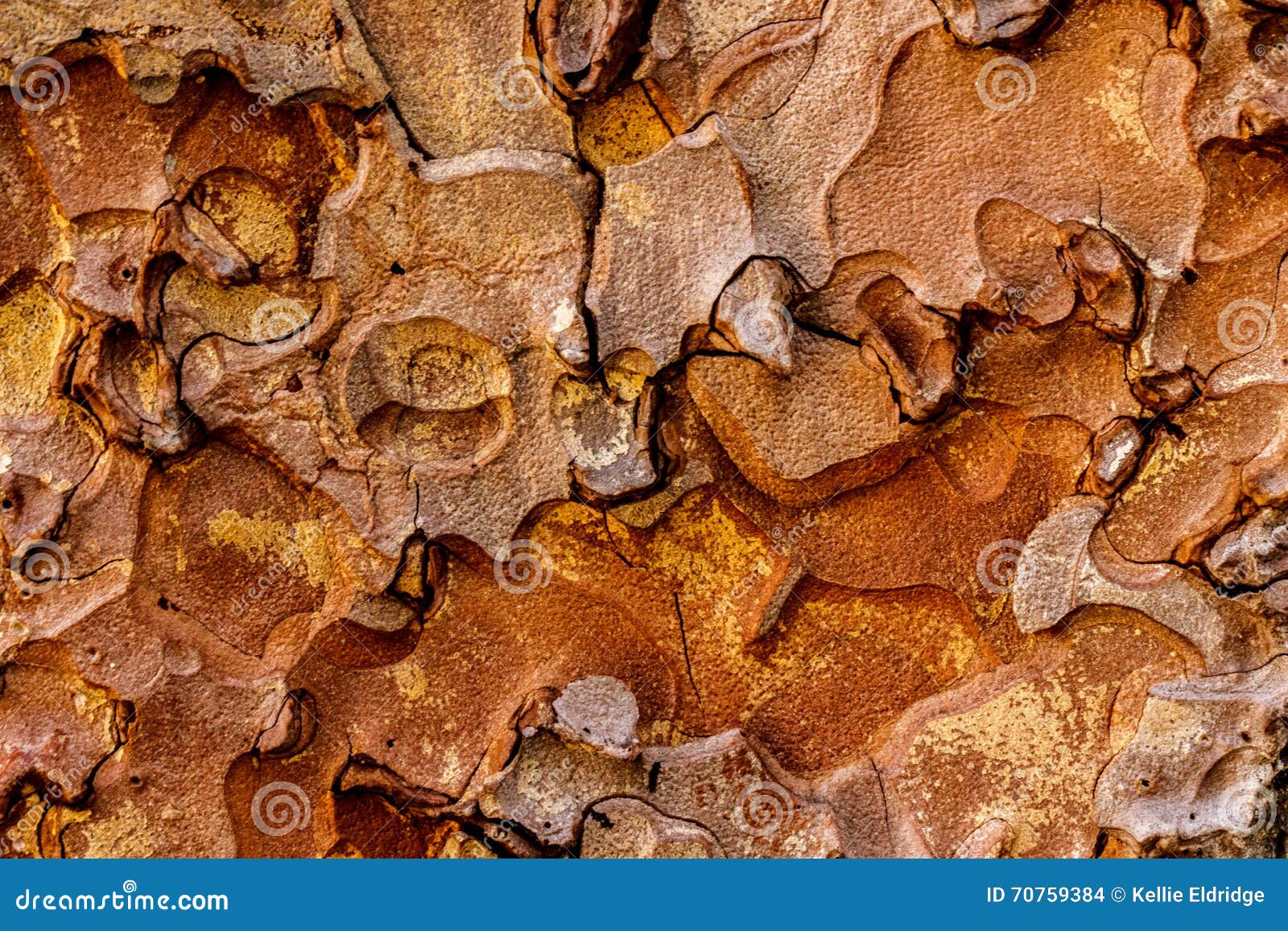 Jigsaw Tree Bark Background Stock Photo - Image of abstract, detail ...