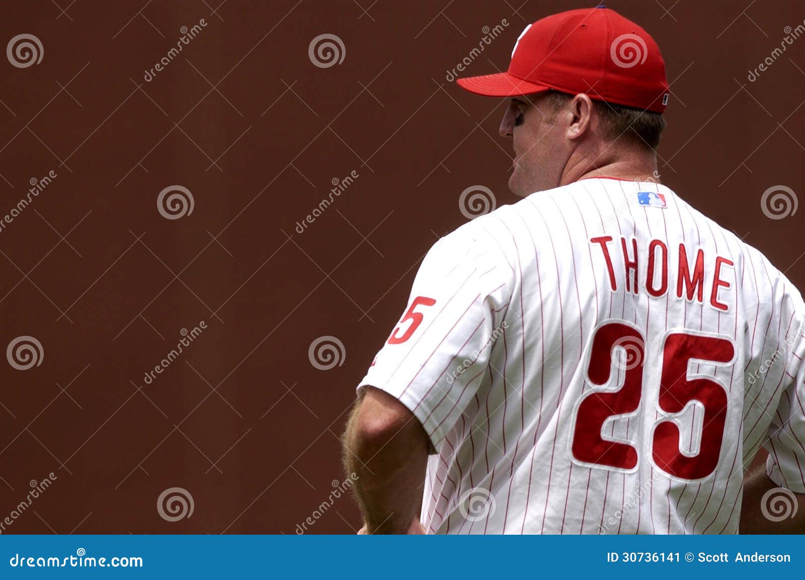 JIm Thome photo éditorial. Image du loriots, indiens - 30736141