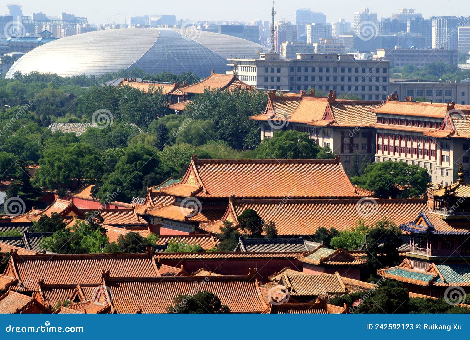 Lotus Flower Birds Eye View Stock Photos - Free & Royalty-Free Stock ...
