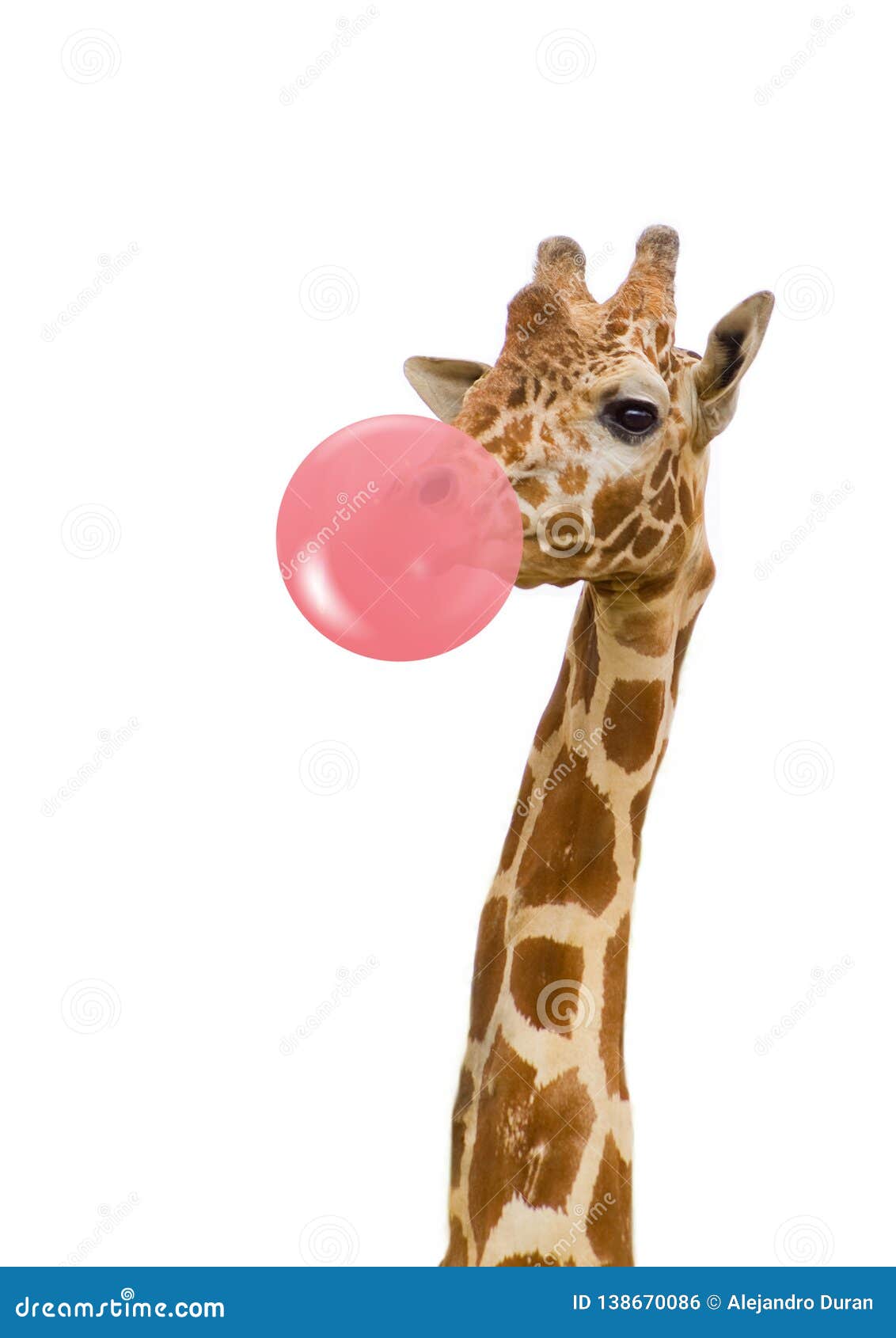 Jirafa con el chicle stock de ilustración. Ilustración de jirafa ...