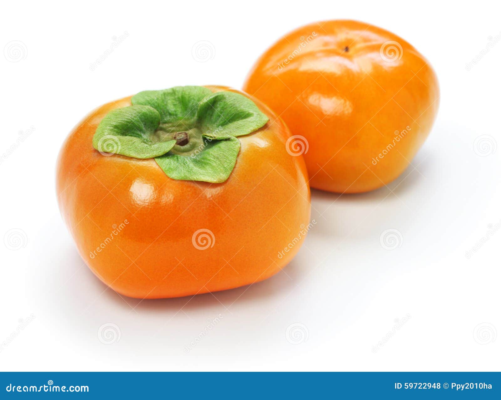 Japanese Persimmon - Diospyros Kaki - Asian Persimmon Royalty-Free ...