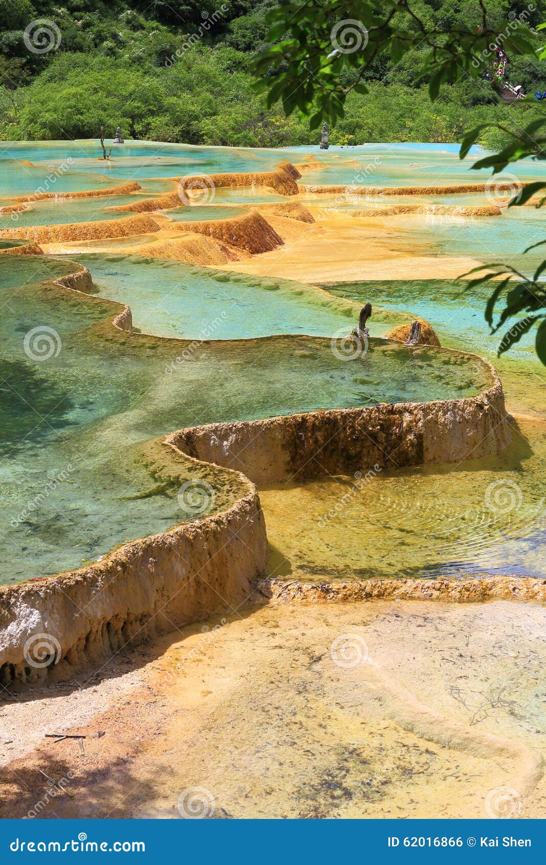 Jiuzhaigou Multi-colored Pools in China Stock Photo - Image of yellow ...