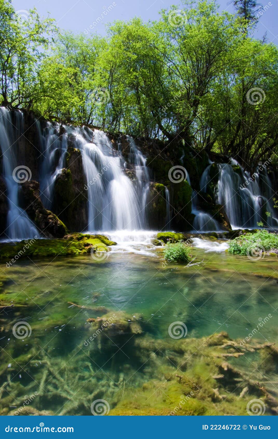 Jiuzhaigou Panda Pool Waterfall Stock Photo - Image of pool, china ...