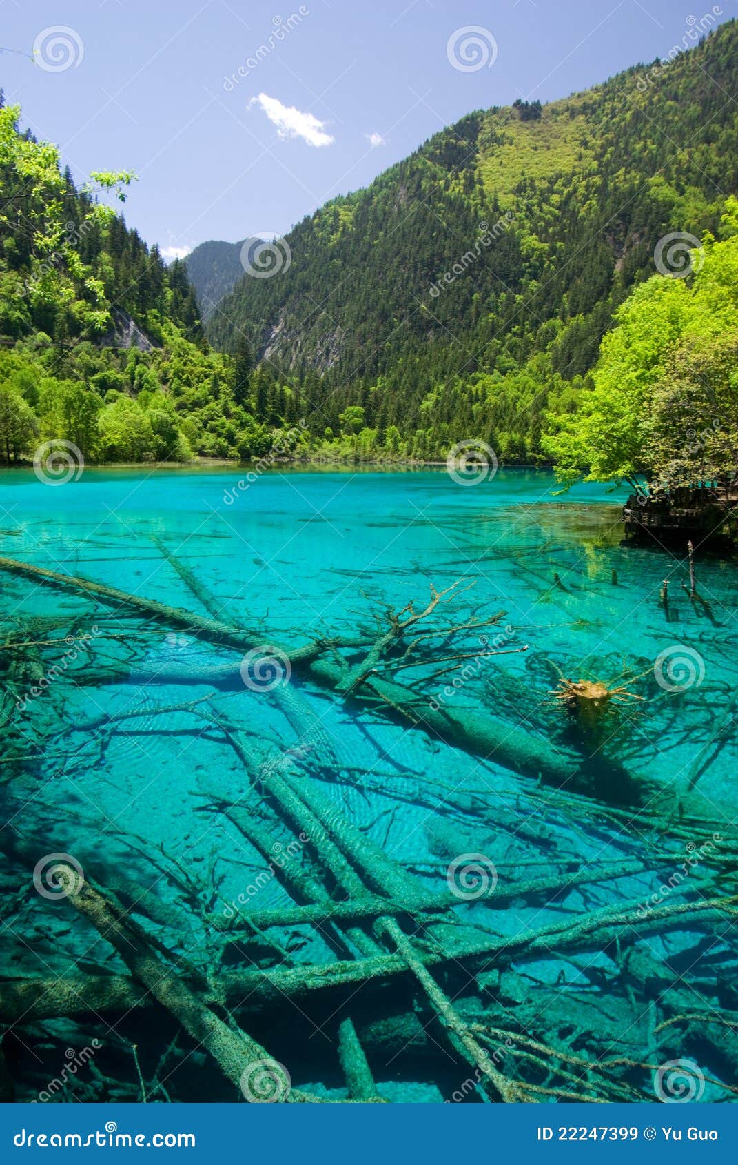 Jiuzhaigou wuhua pool stock image. Image of mirror, jiuzhaigou - 22247399