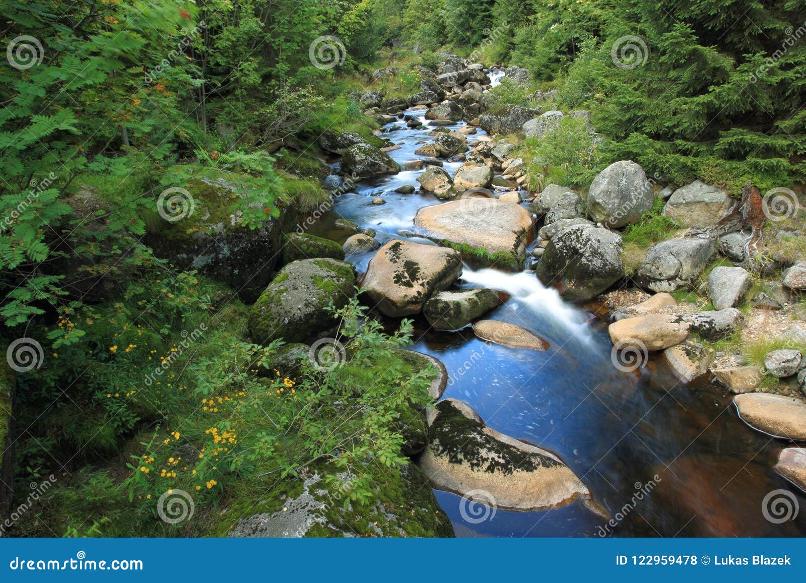 Jizera river stock photo. Image of stream, tree, outdoor - 122959478