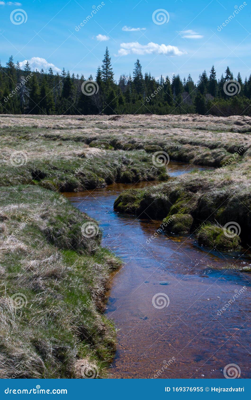 Jizera Stream Perto Do Povoado Jizerka Imagem de Stock - Imagem de ...