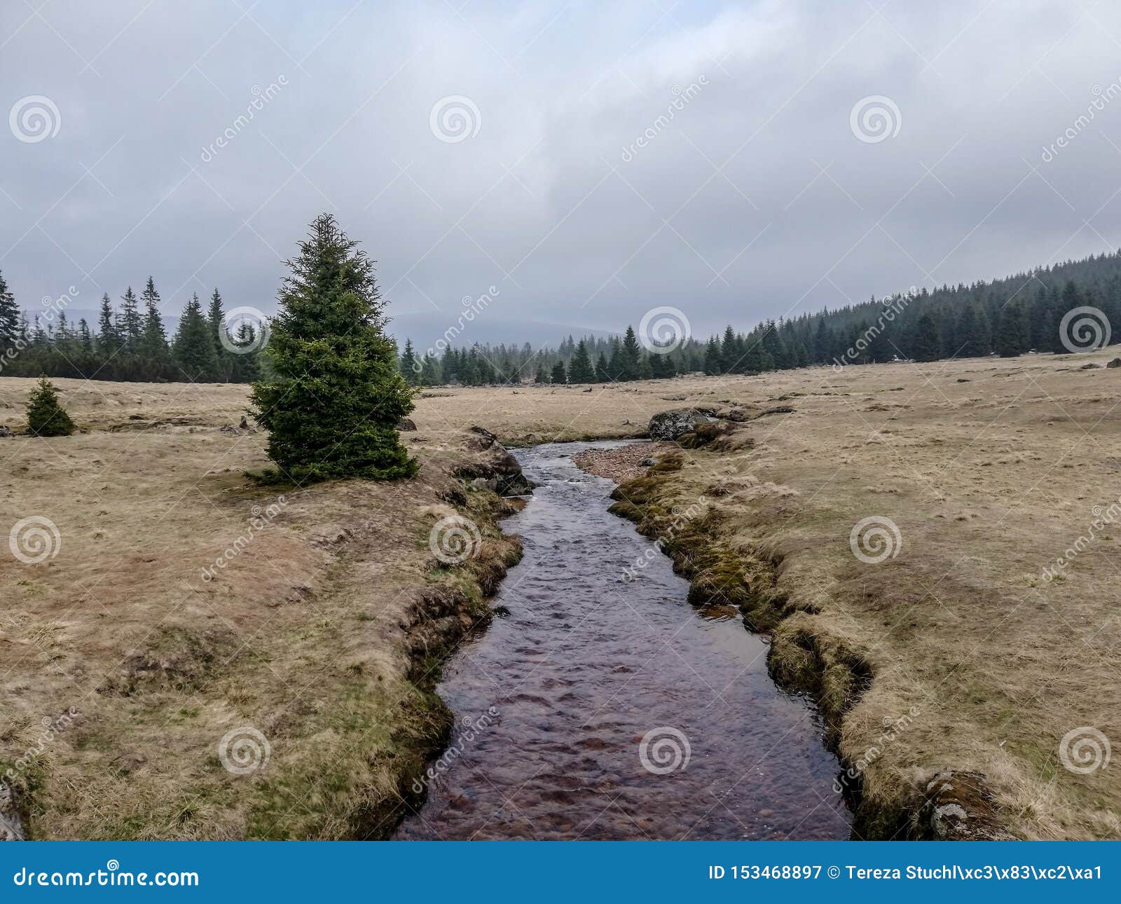 Jizerka river stock image. Image of river, tree, road - 153468897
