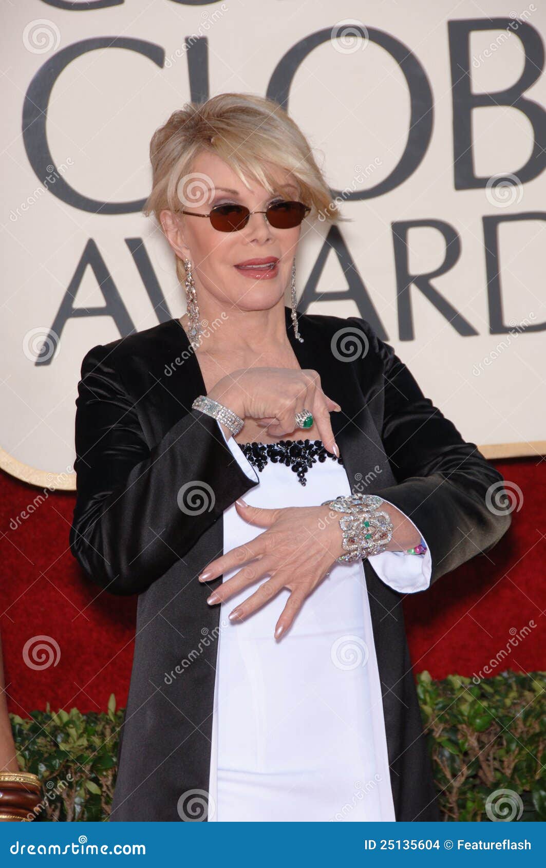 Joan Rivers editorial stock image. Image of hotel, rivers - 25135604