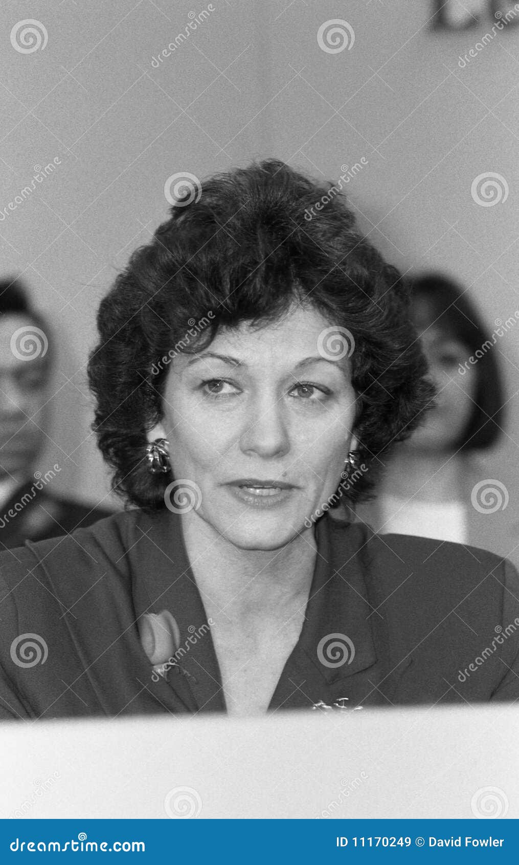 Joan Ruddock editorial stock image. Image of ruddock - 11170249