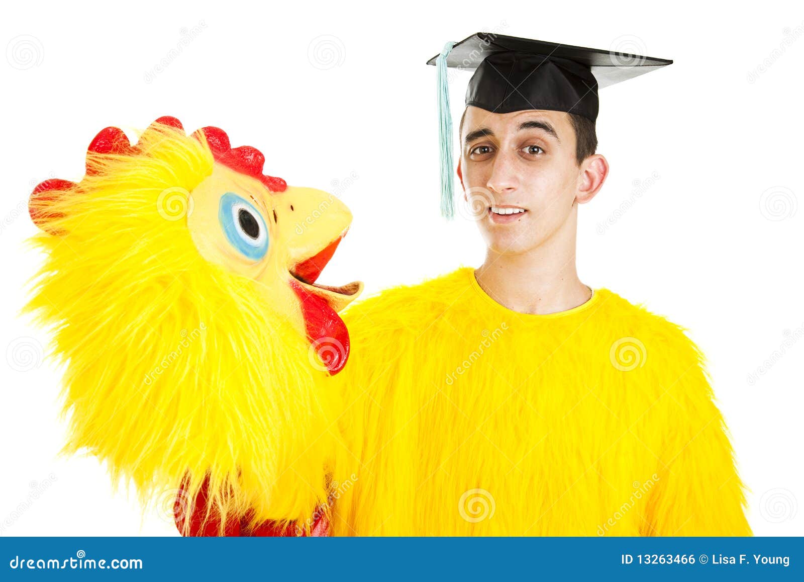 Graduate In Chicken Suit Royalty-Free Stock Photography | CartoonDealer ...