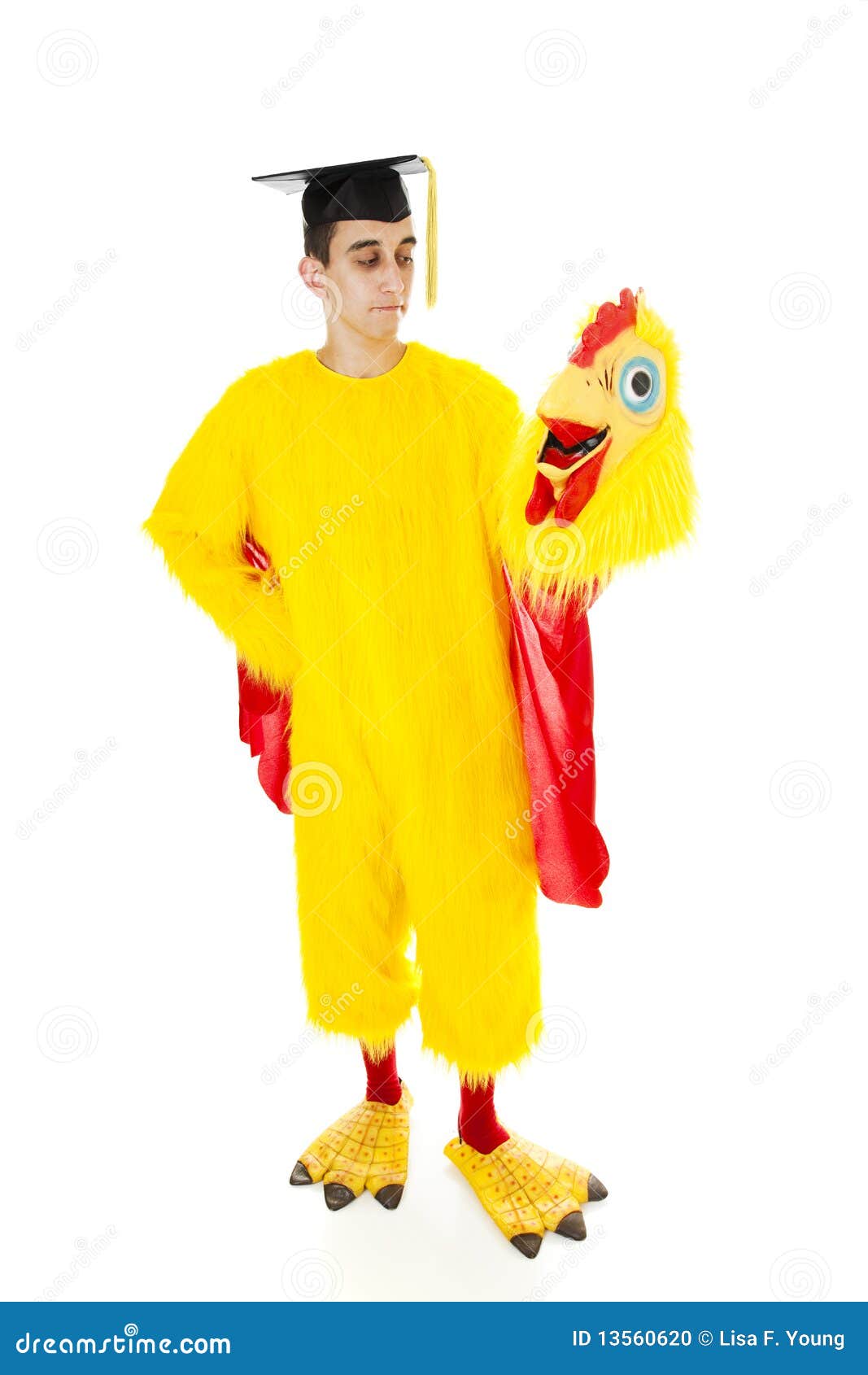 Graduate In Chicken Suit Royalty-Free Stock Photography | CartoonDealer ...
