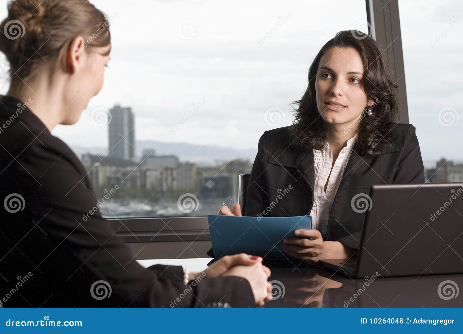 Job Interview stock photo. Image of leadership, businesswoman - 10264048