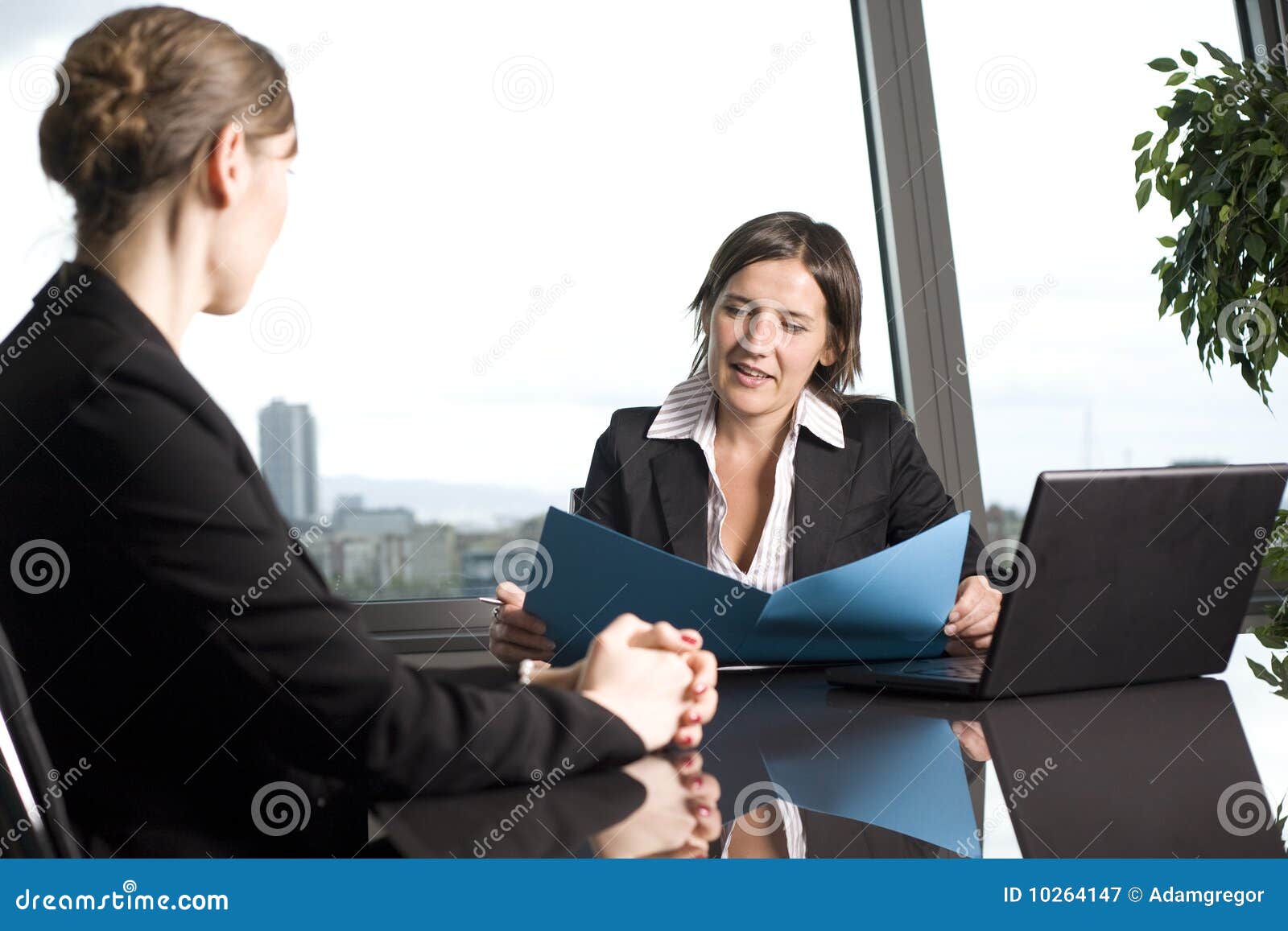 Job Interview stock image. Image of satisfaction, issues - 10264147