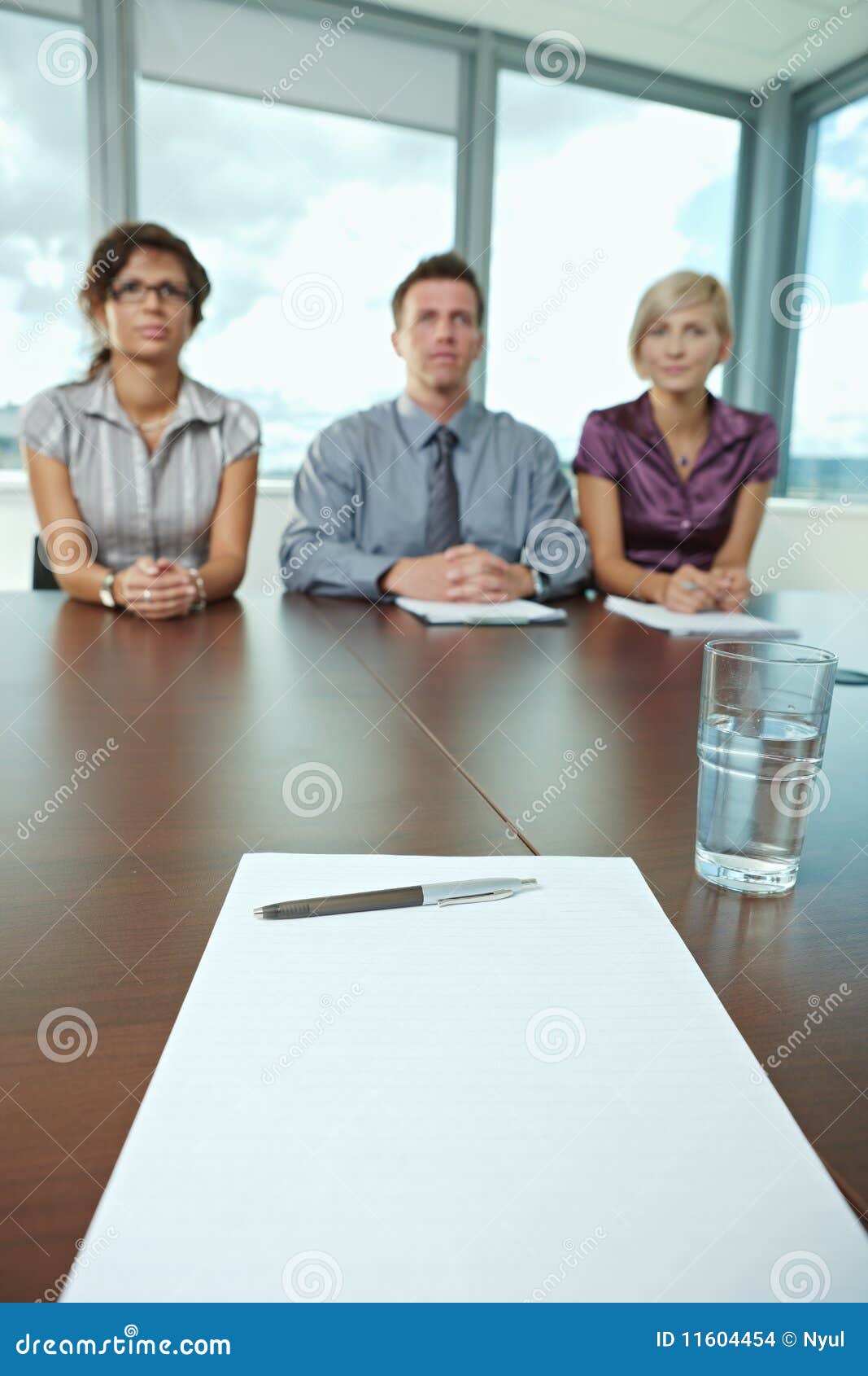 Job interview stock photo. Image of documents, females - 11604454
