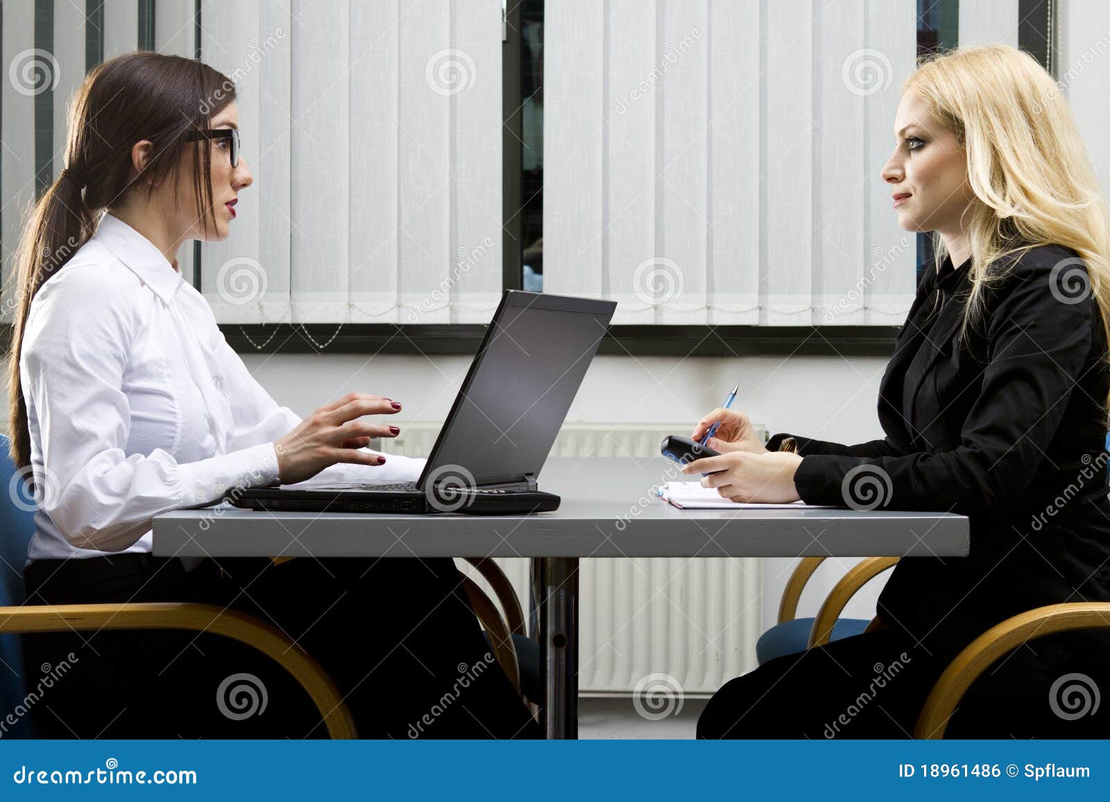 Job interview stock photo. Image of computer, serious - 18961486
