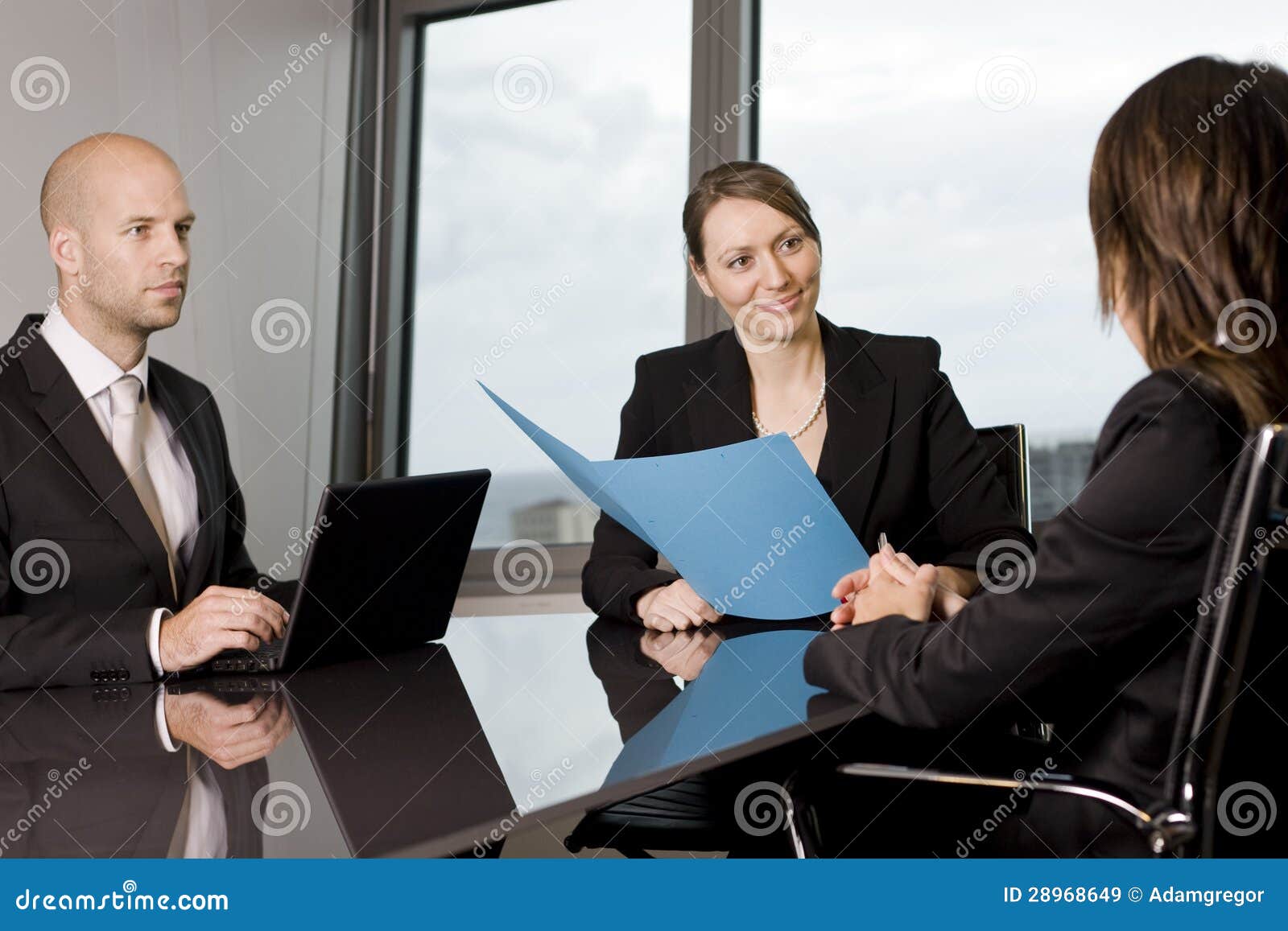 Job interview stock image. Image of human, executive - 28968649
