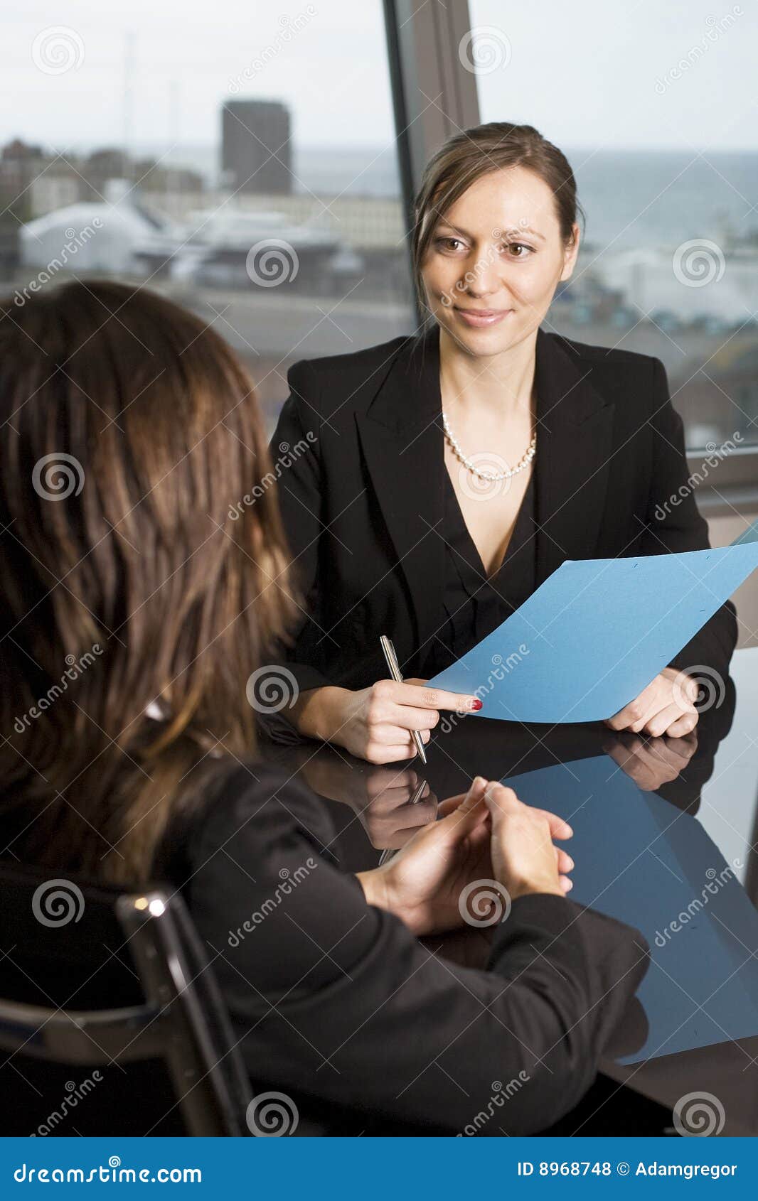 Job Interview stock photo. Image of business, manager - 8968748