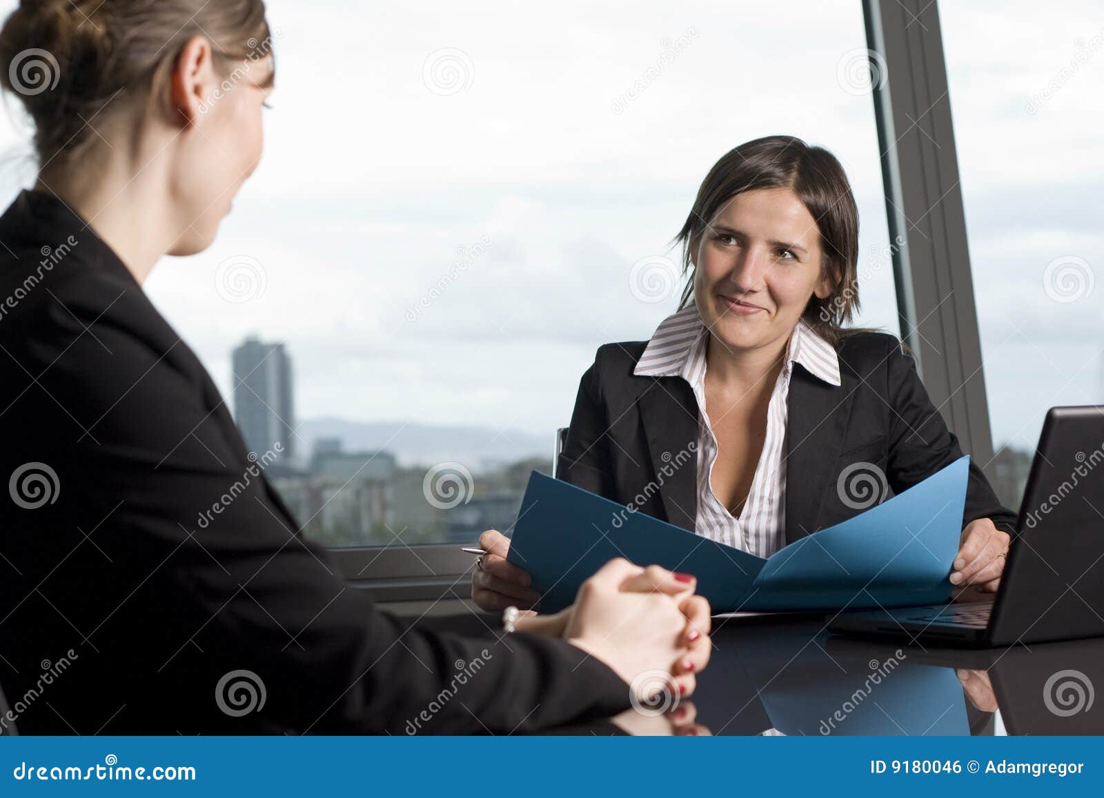 Job Interview stock photo. Image of portrait, consultant - 9180046