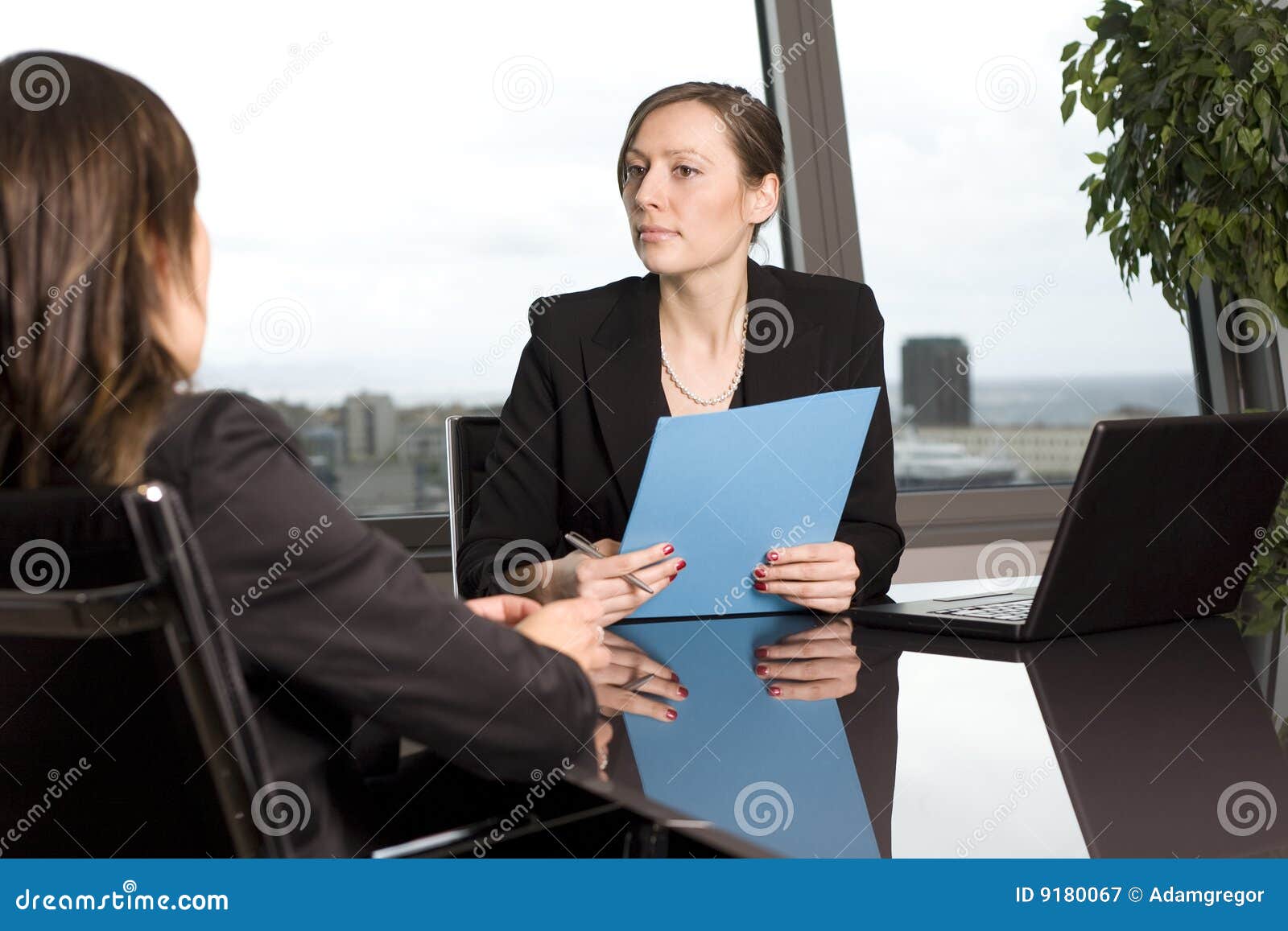 Job Interview stock image. Image of agreement, business - 9180067