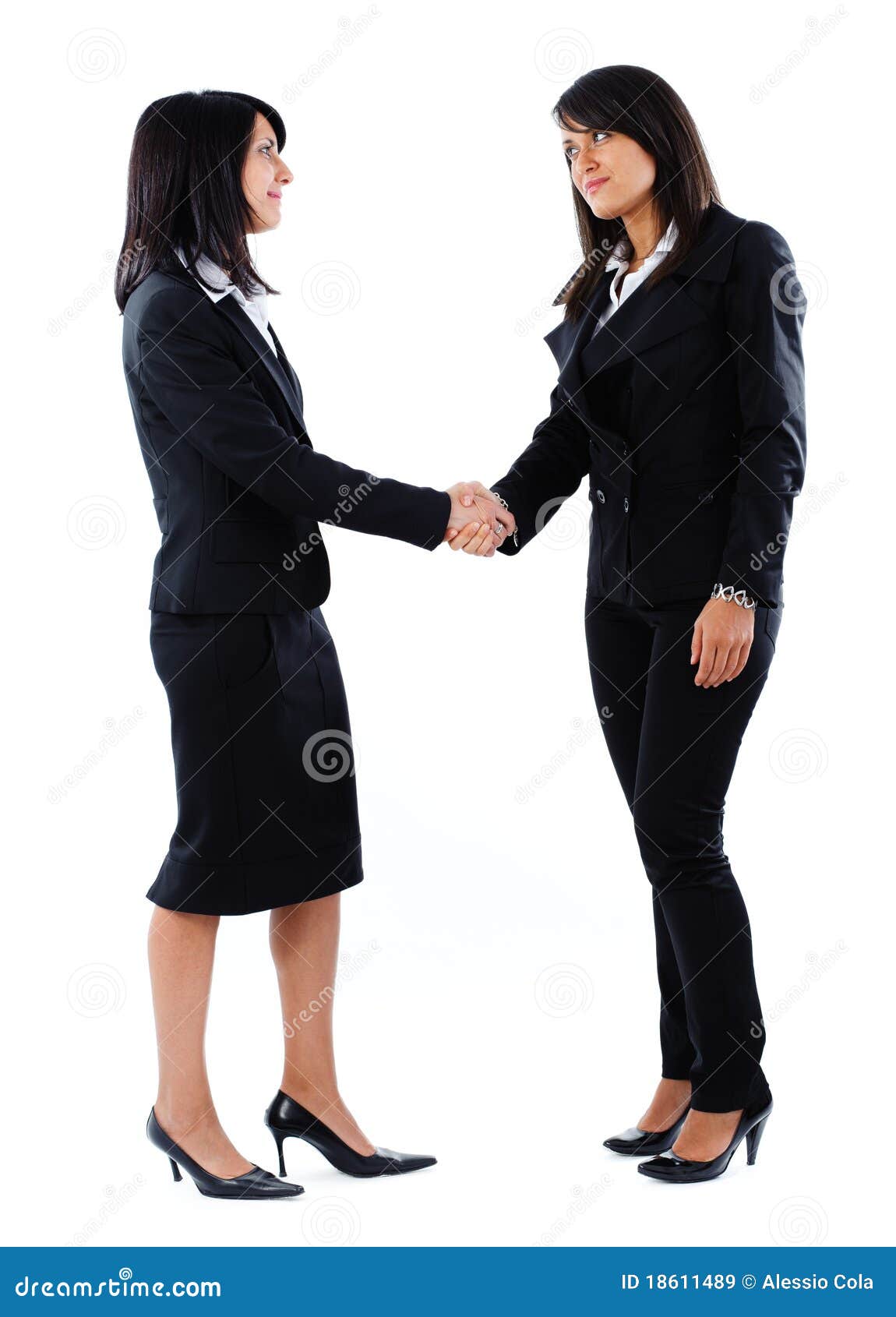 Job interview, shake hands stock image. Image of women - 18611489