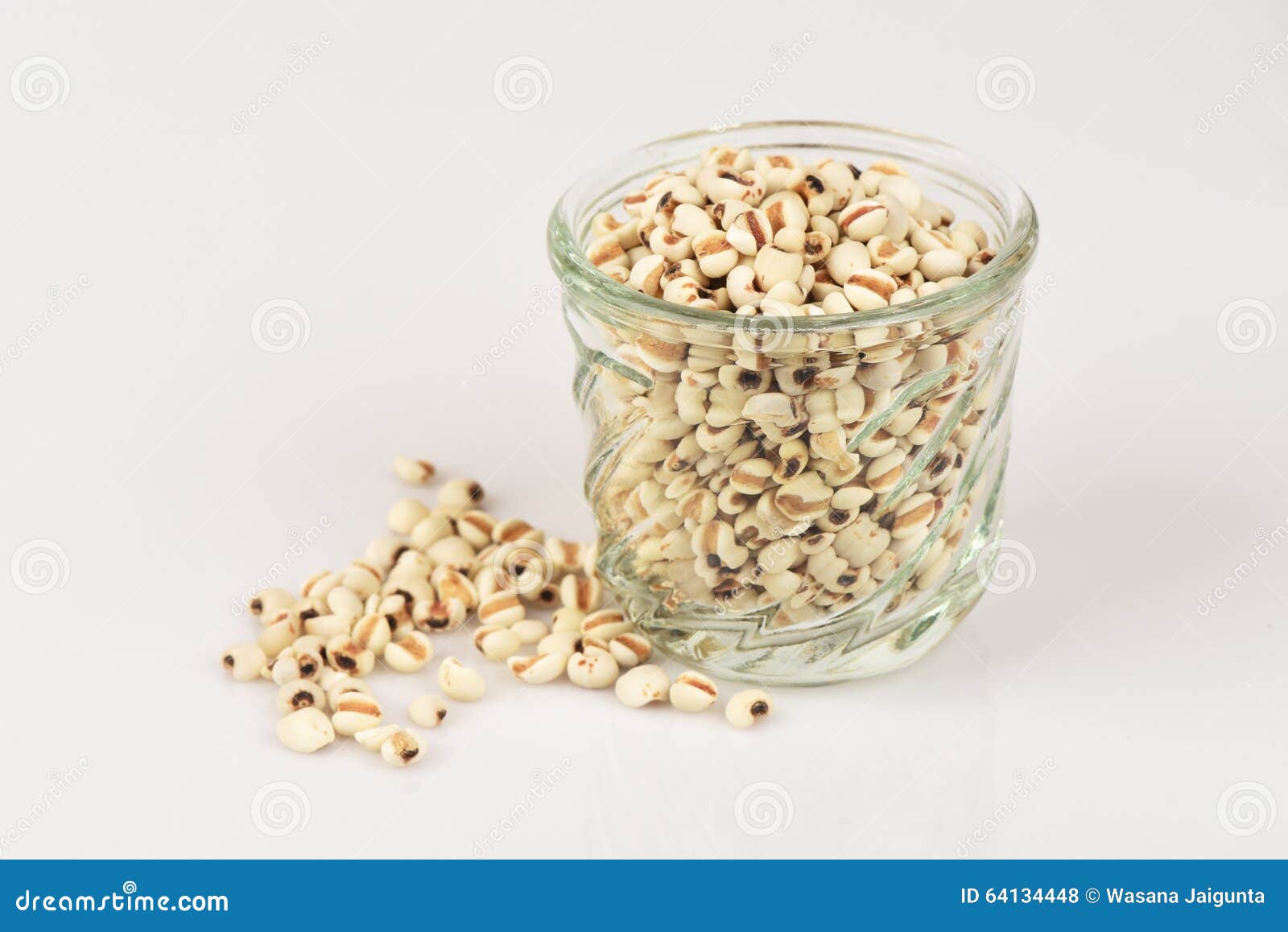 Job s tears. stock photo. Image of beriberi, asia, heat - 64134448