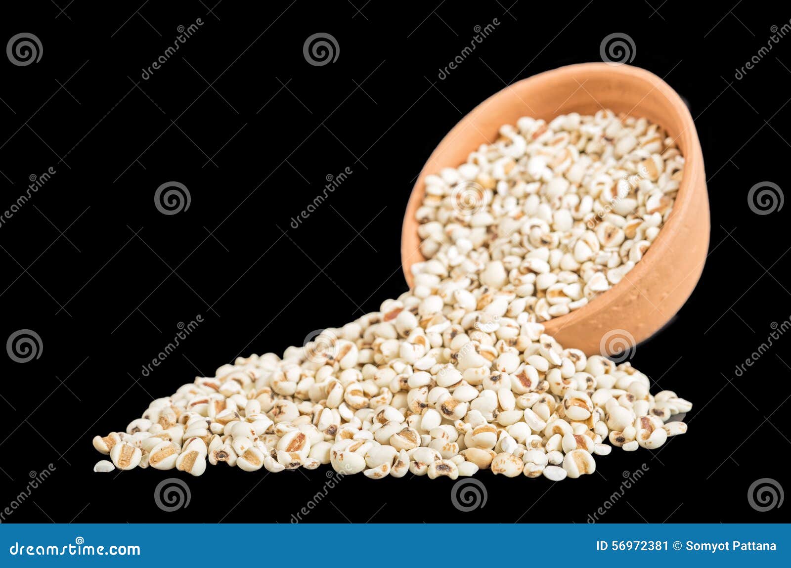 Job s tears seed stock image. Image of black, pearl, strength - 56972381